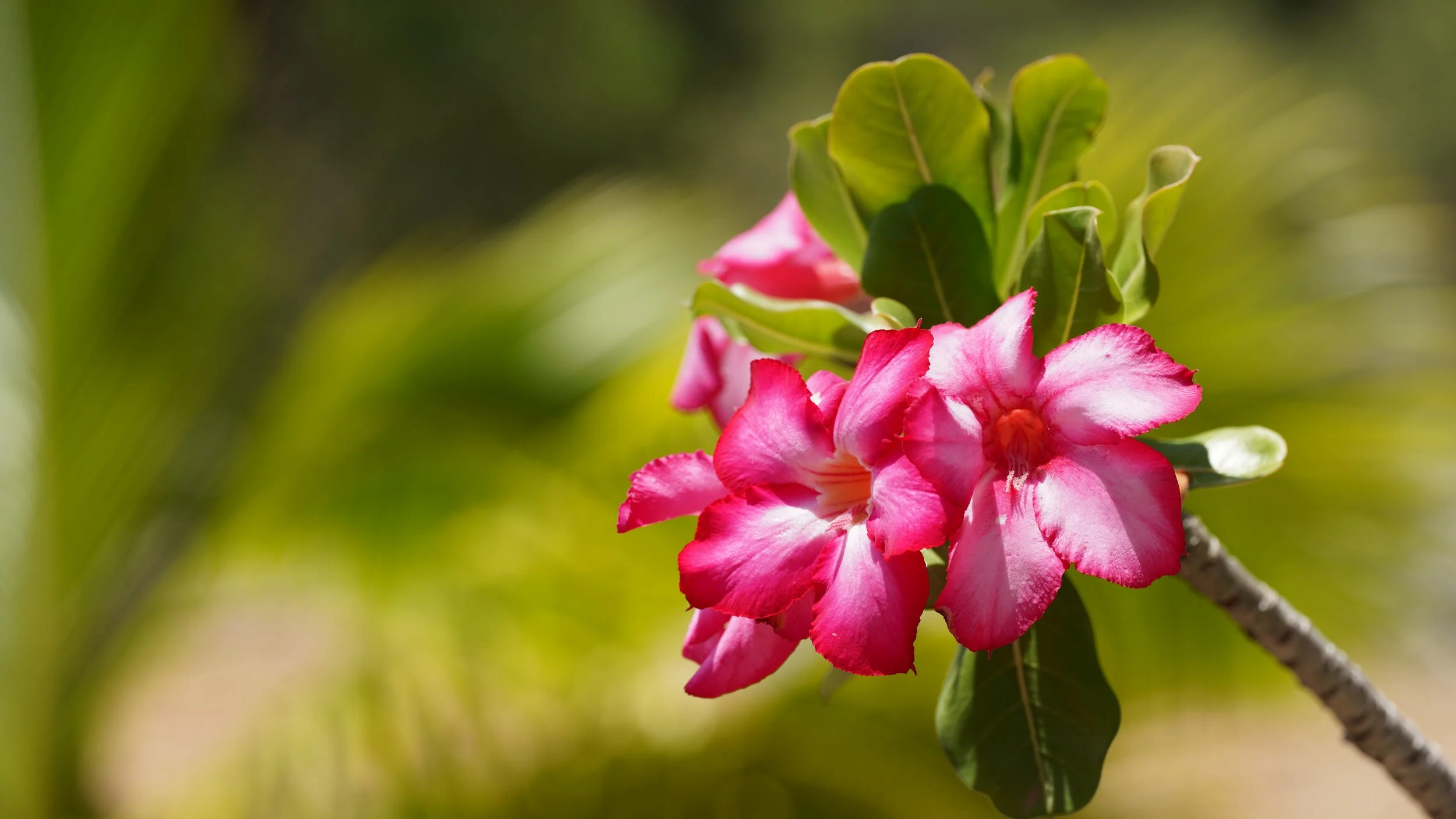 Kalaeloa Heritage Park