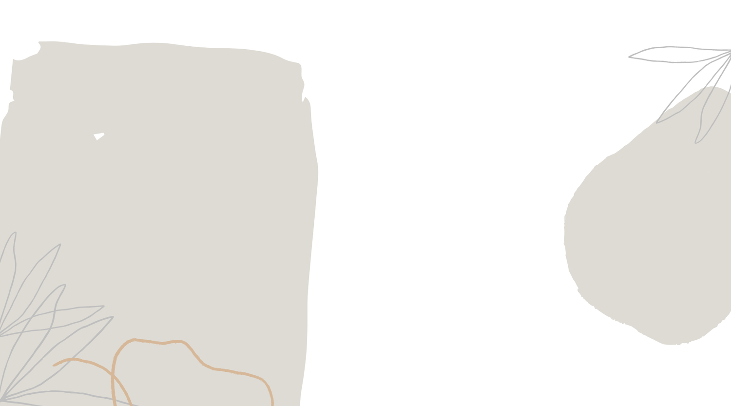Australian Interior Designers | Silo Interiors | Coffs Harbour
