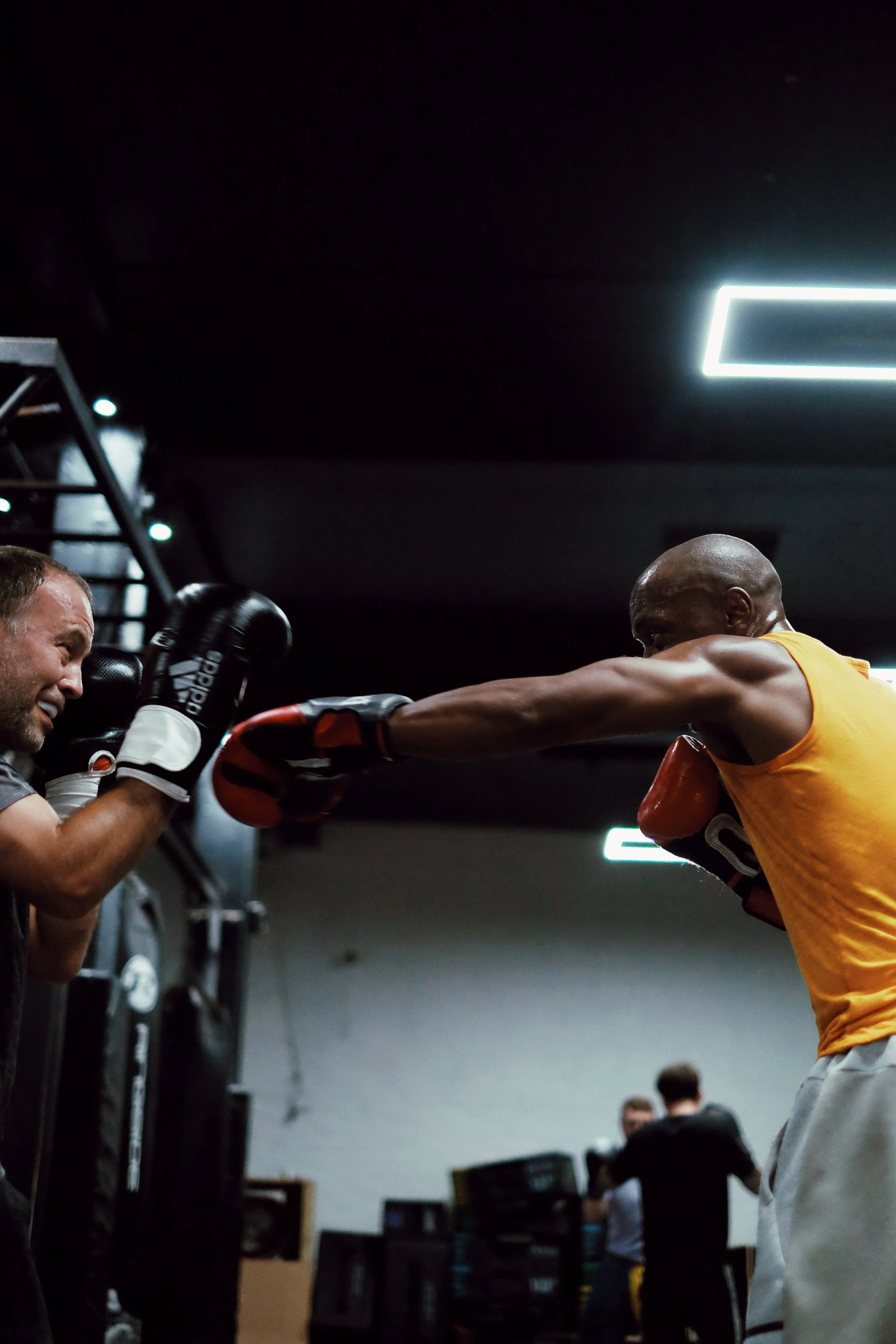 Boxing Timetable — FIGHTZONE LONDON