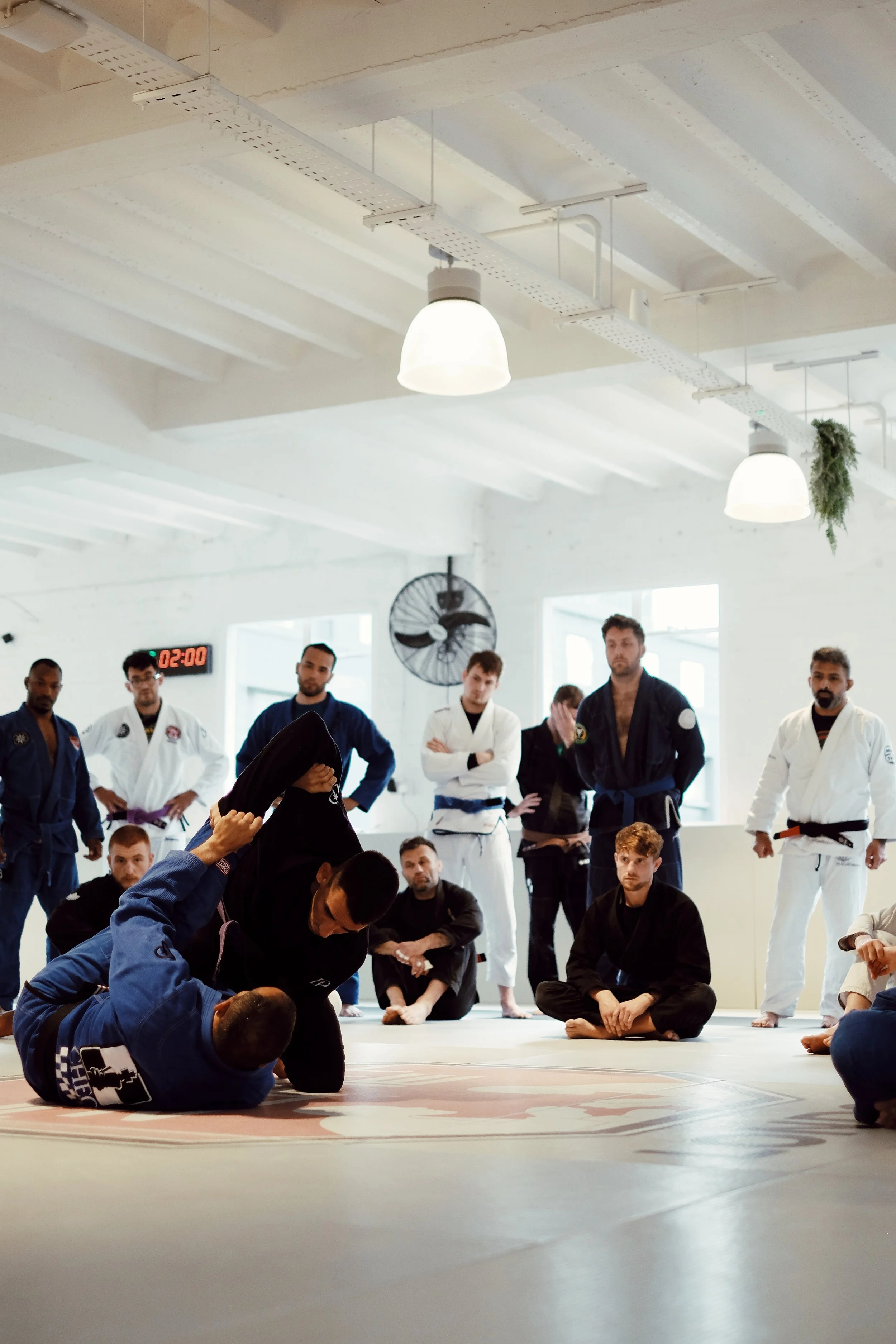 Memberships — FIGHTZONE LONDON