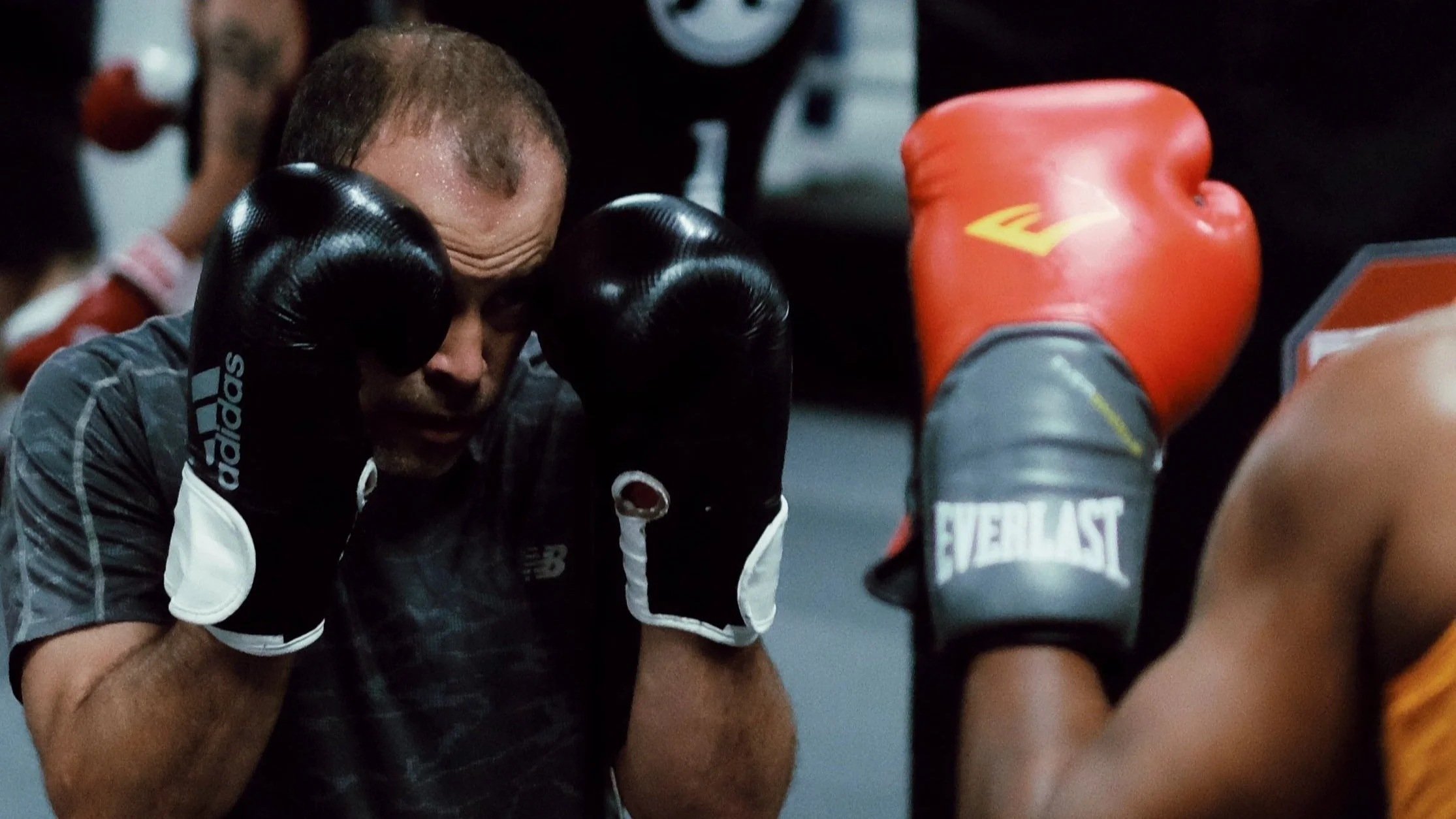 Timetable — FIGHTZONE LONDON