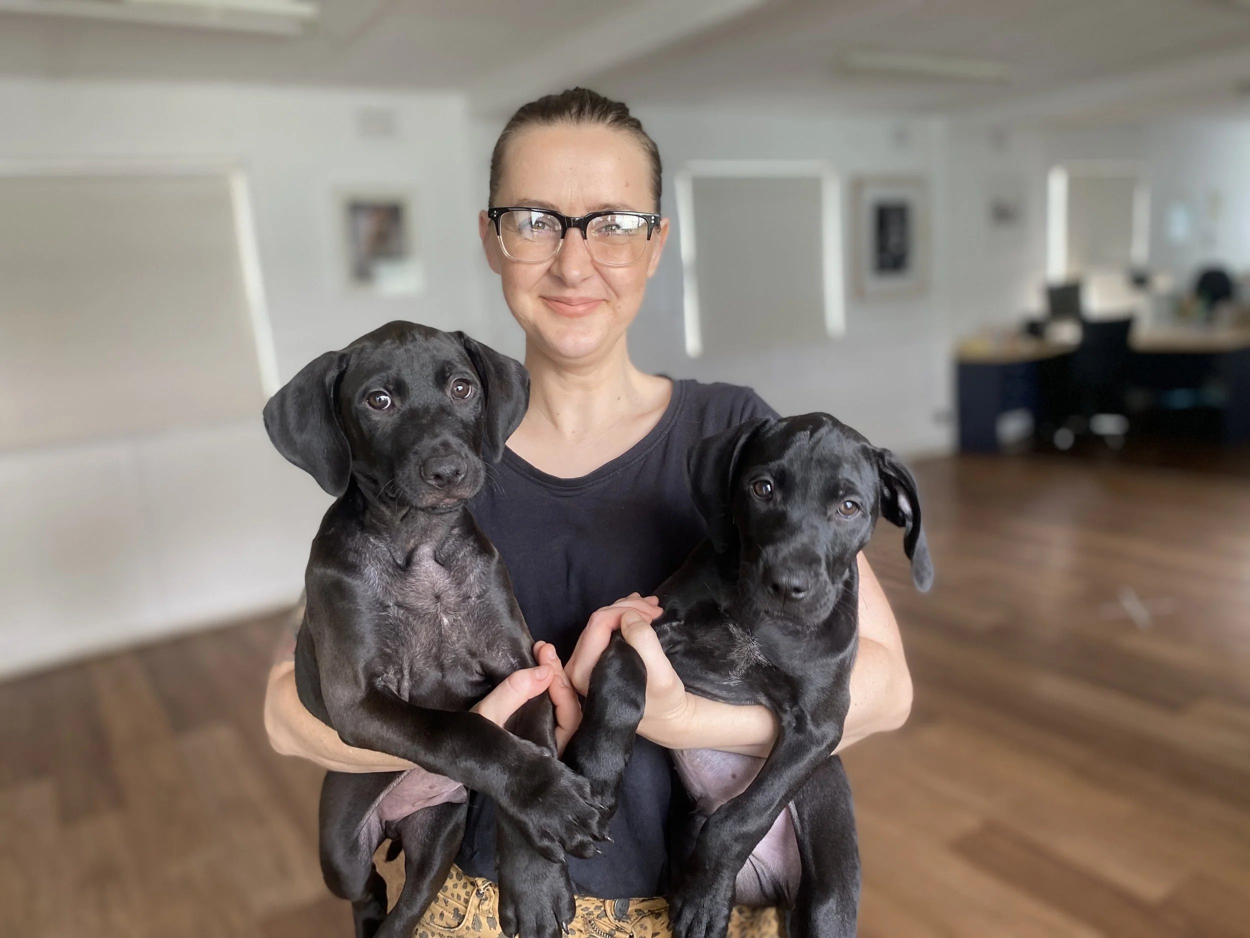 Dogs - dingoes to puppaccinos — Inner West Icons
