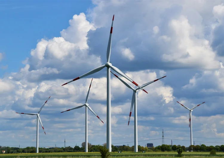 The Role of Wind Energy in Achieving Net-Zero Living in the Philippines ...