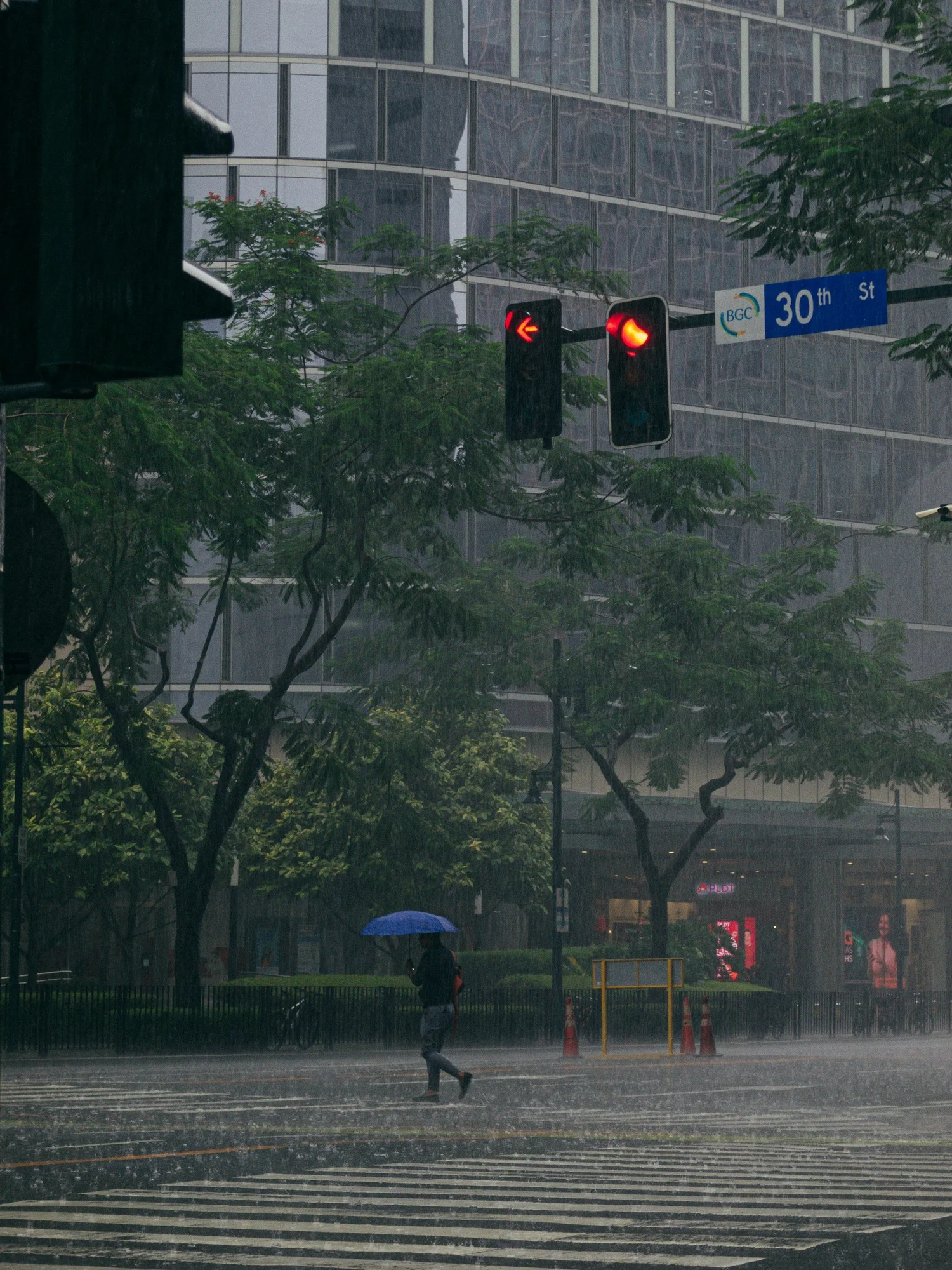 Raining in Manila: How to Save Pesos and the Planet through Rainwater ...