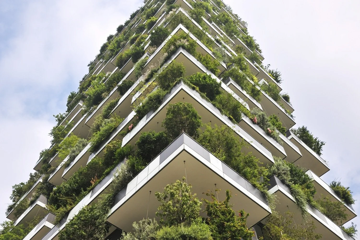 Green Architecture: A Sustainable Solution to the Construction Sector’s ...