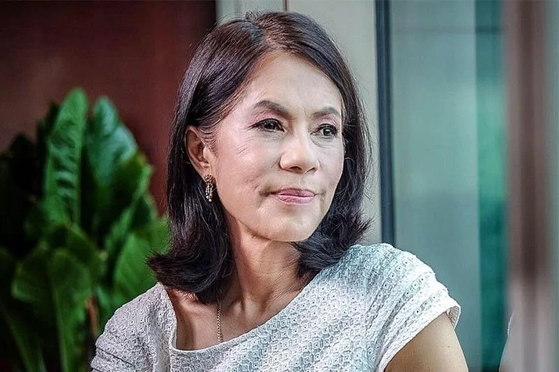 Knowing Gina Lopez: A Filipino Environmental Advocate - BillionBricks ...