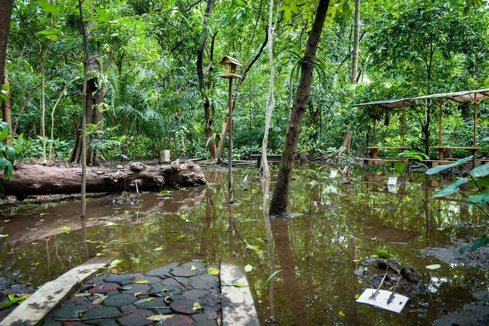 Spotlight on Arroceros Park: Manila’s Last Lung - BillionBricks | Net ...