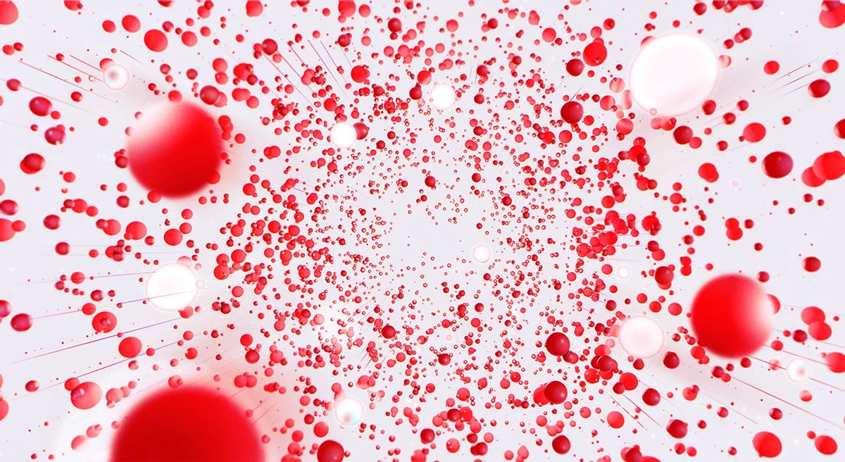 Ordinary Folk x TED Intro — Nuria Boj Limited - Illustration & Animation