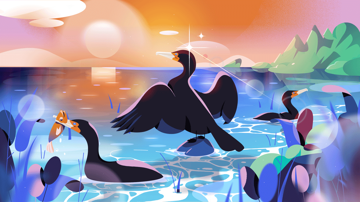 Motion Design — Nuria Boj Limited - Illustration & Animation