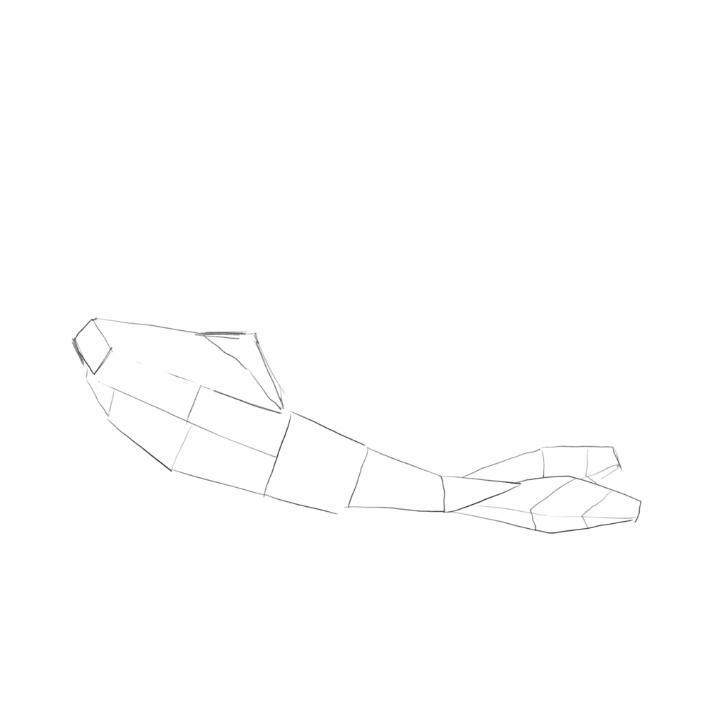Animating a Fish — Nuria Boj Limited - Illustration & Animation