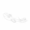 Animating a Fish — Nuria Boj Limited - Illustration & Animation