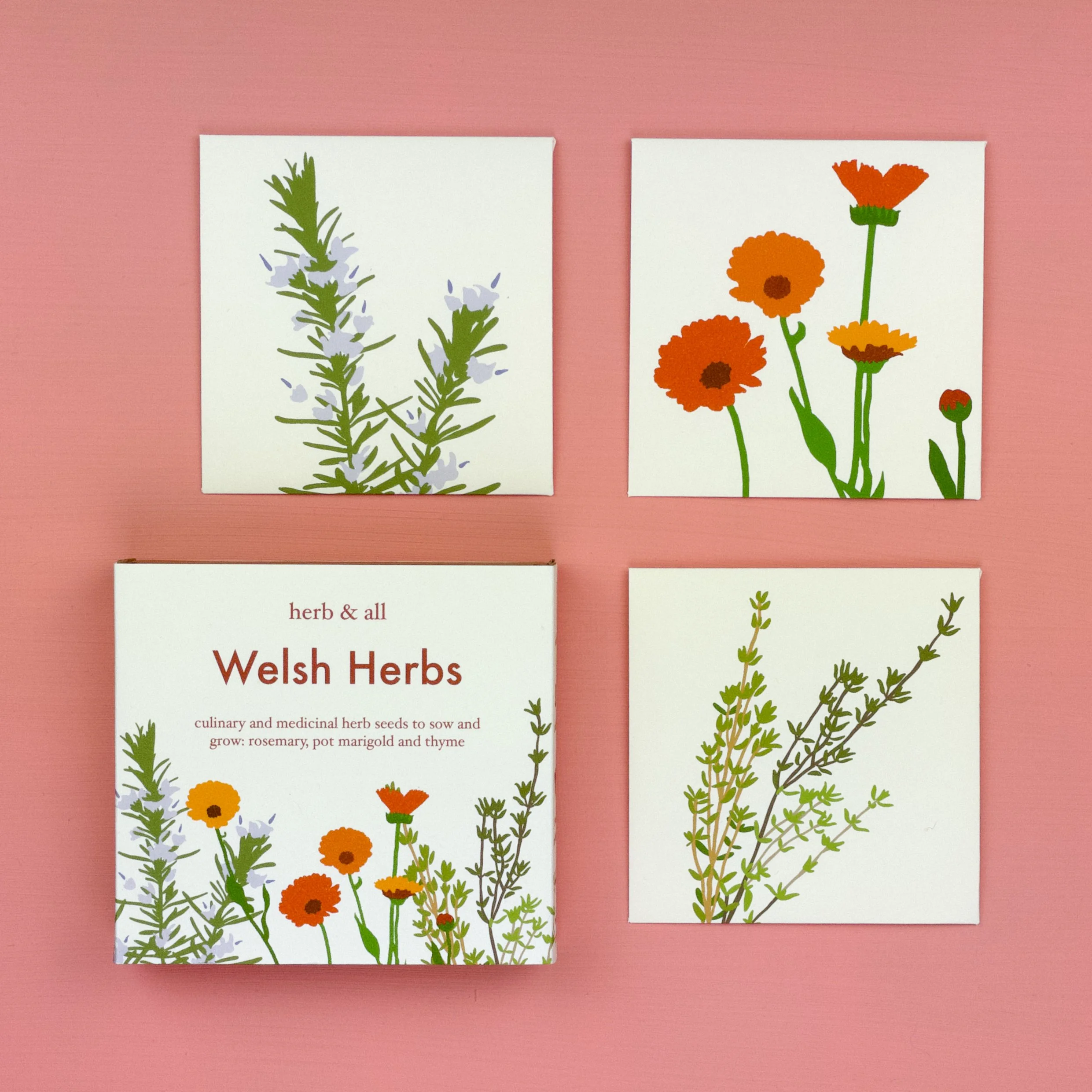 Welsh Herbs seed kit with rosemary, pot marigold and thyme — herb & all