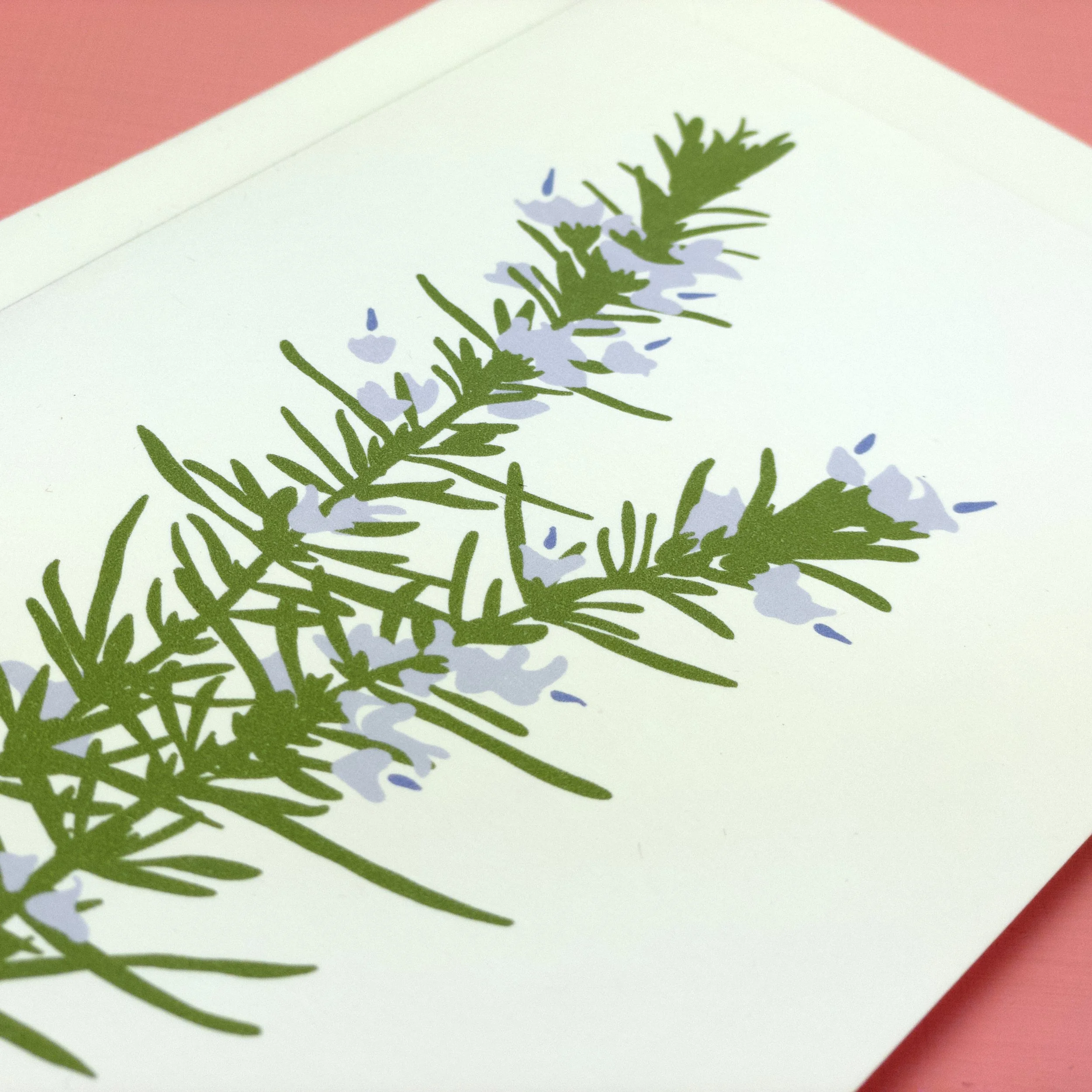 rhosmari - welsh botanical greetings card with rosemary seeds — herb & all