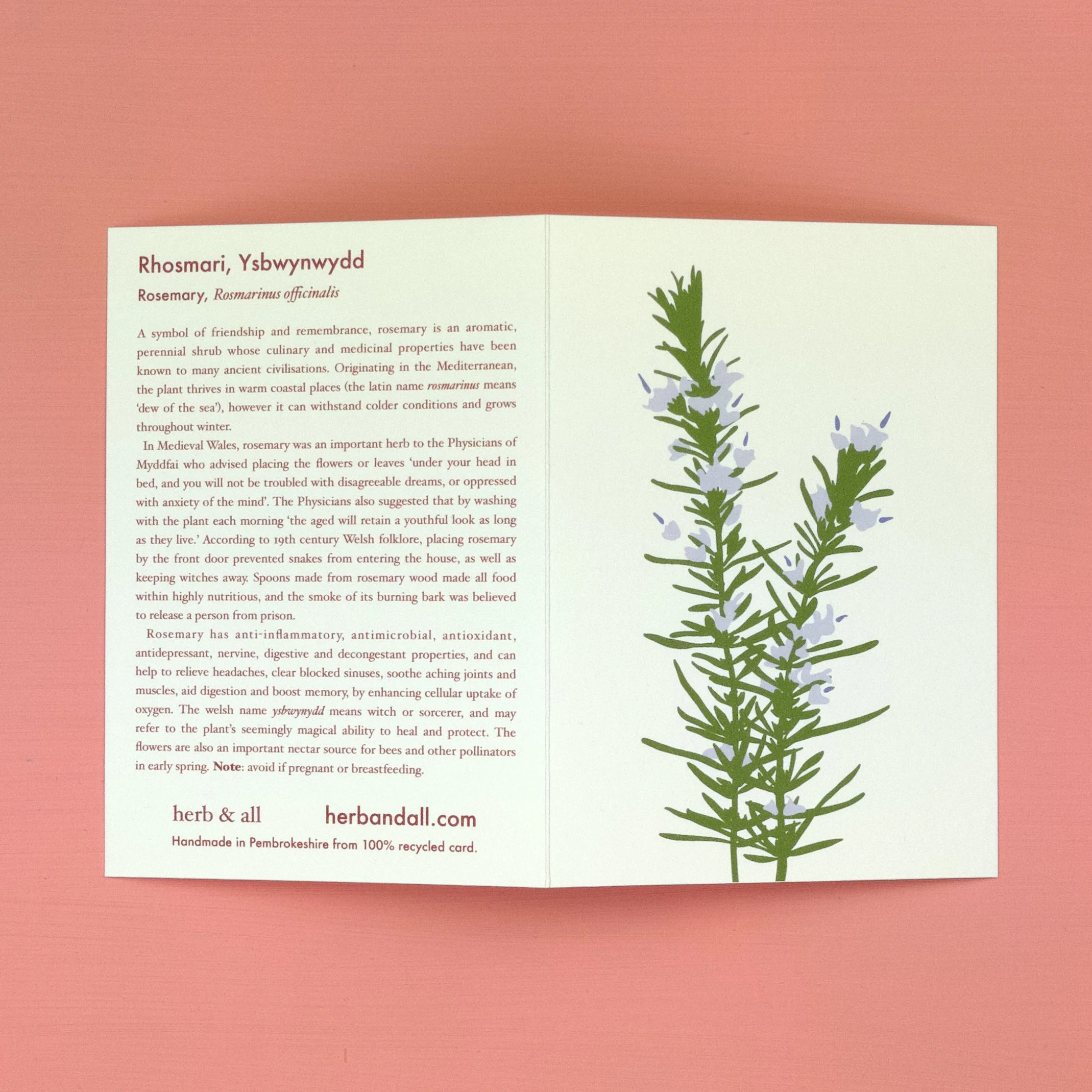 rhosmari - welsh botanical greetings card with rosemary seeds — herb & all
