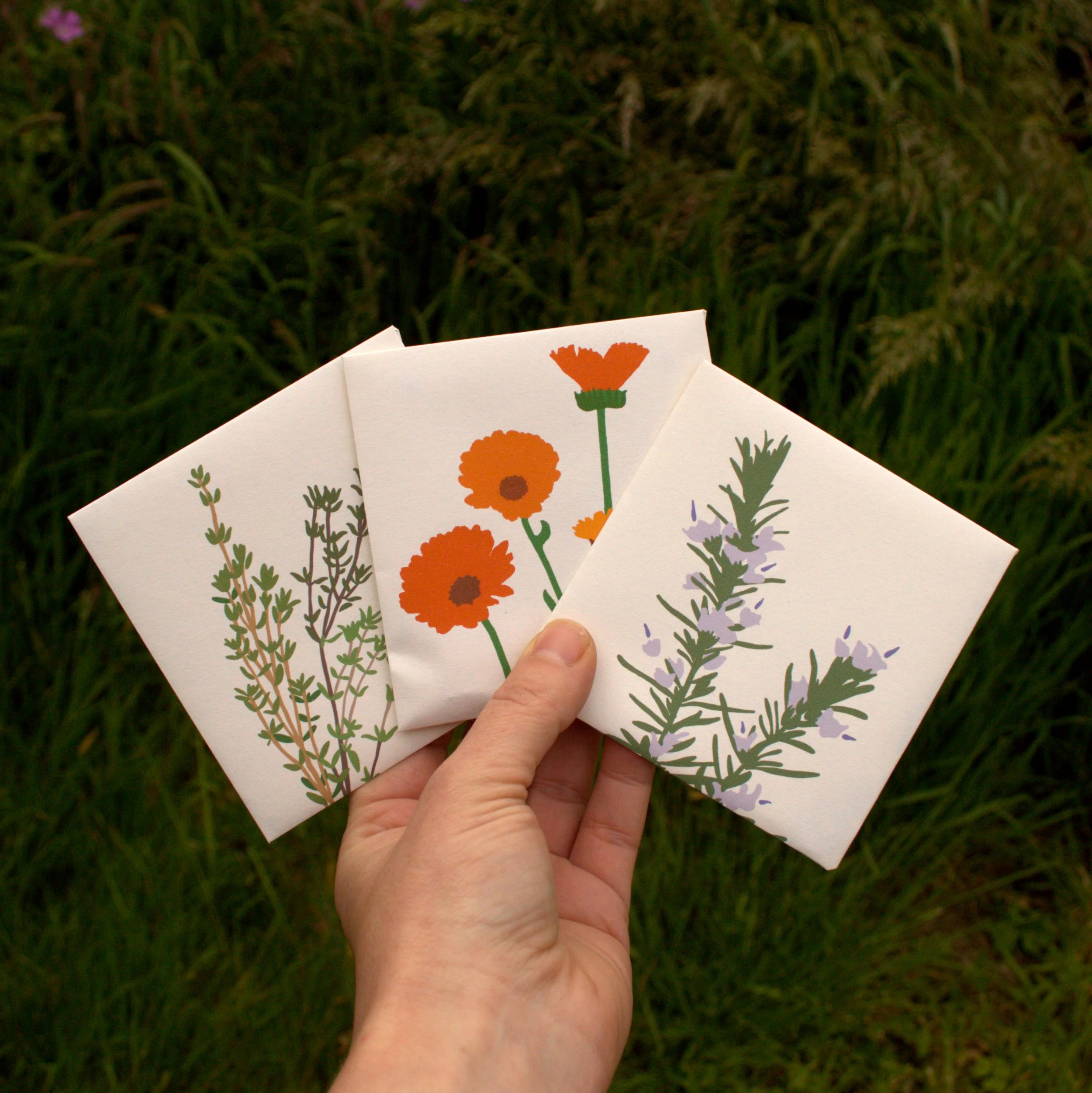 Welsh Herbs seed kit with rosemary, pot marigold and thyme — herb & all