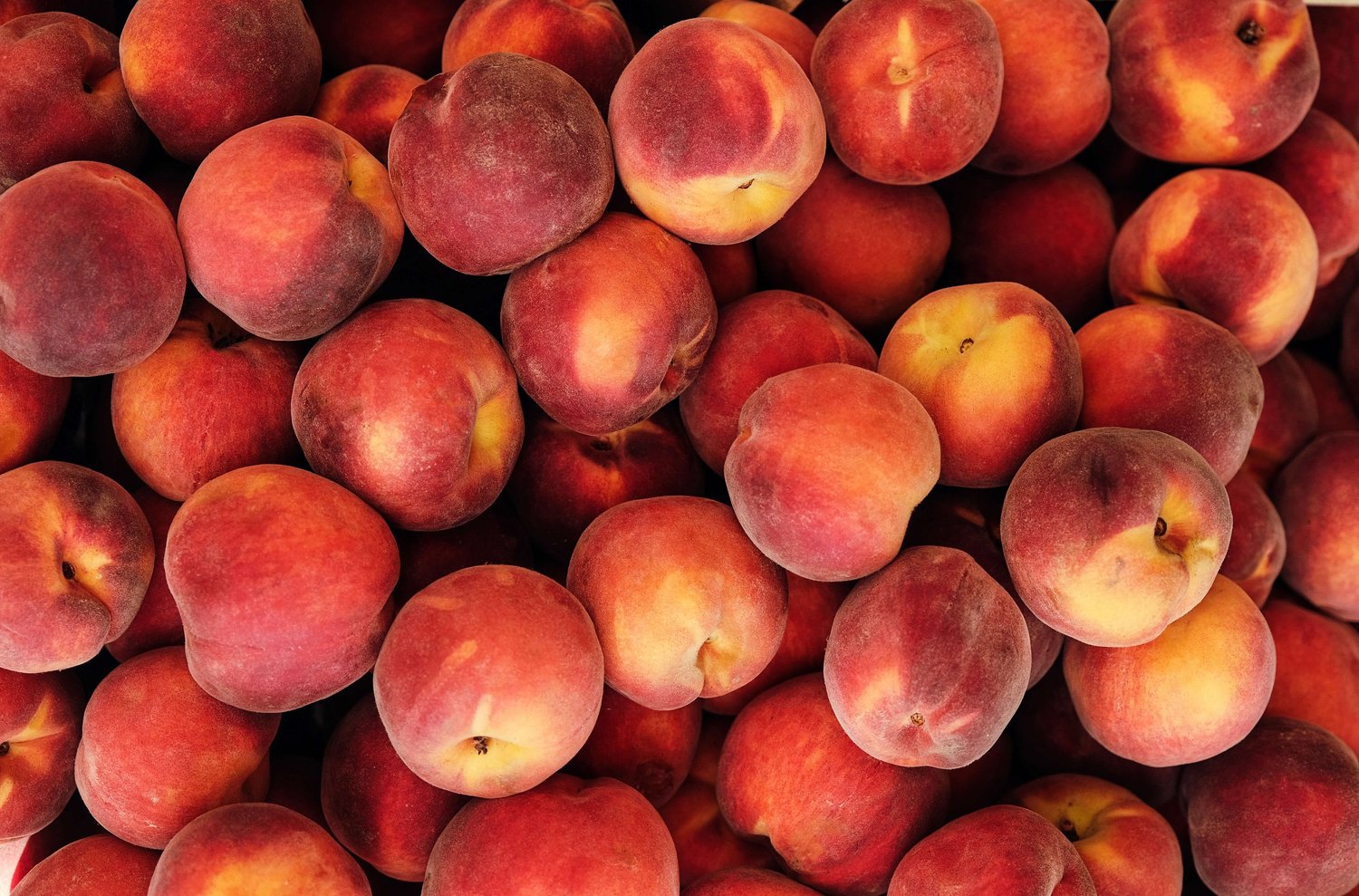 About Us — Peachy Removals