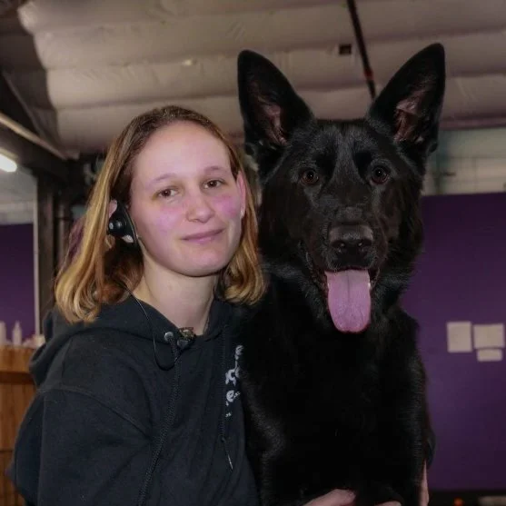 About Us — Doggie Depot