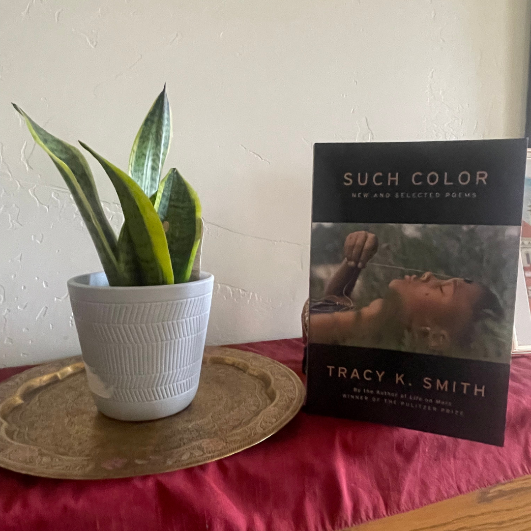 I am a Poet, Yet I Struggle Answering: What Is Poetry? — Sonee Singh