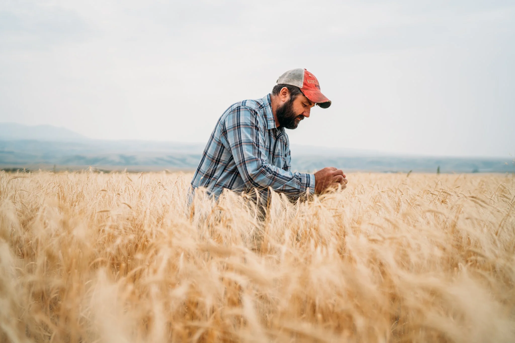 Gruff Ancient Grain Grits