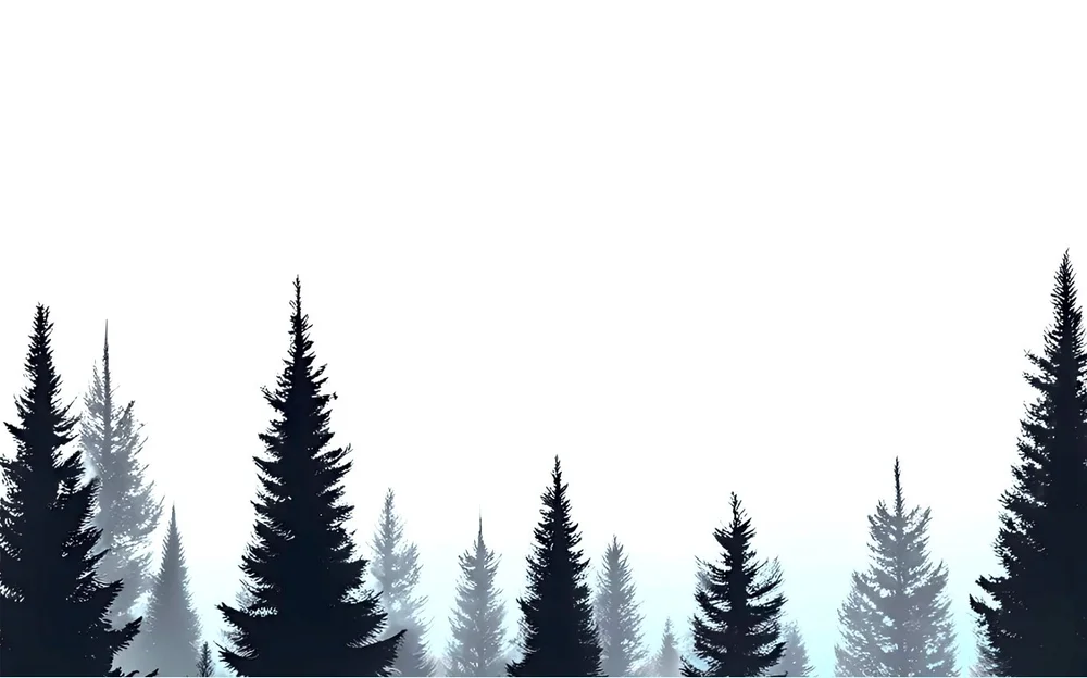 Silver Spruce Brewing