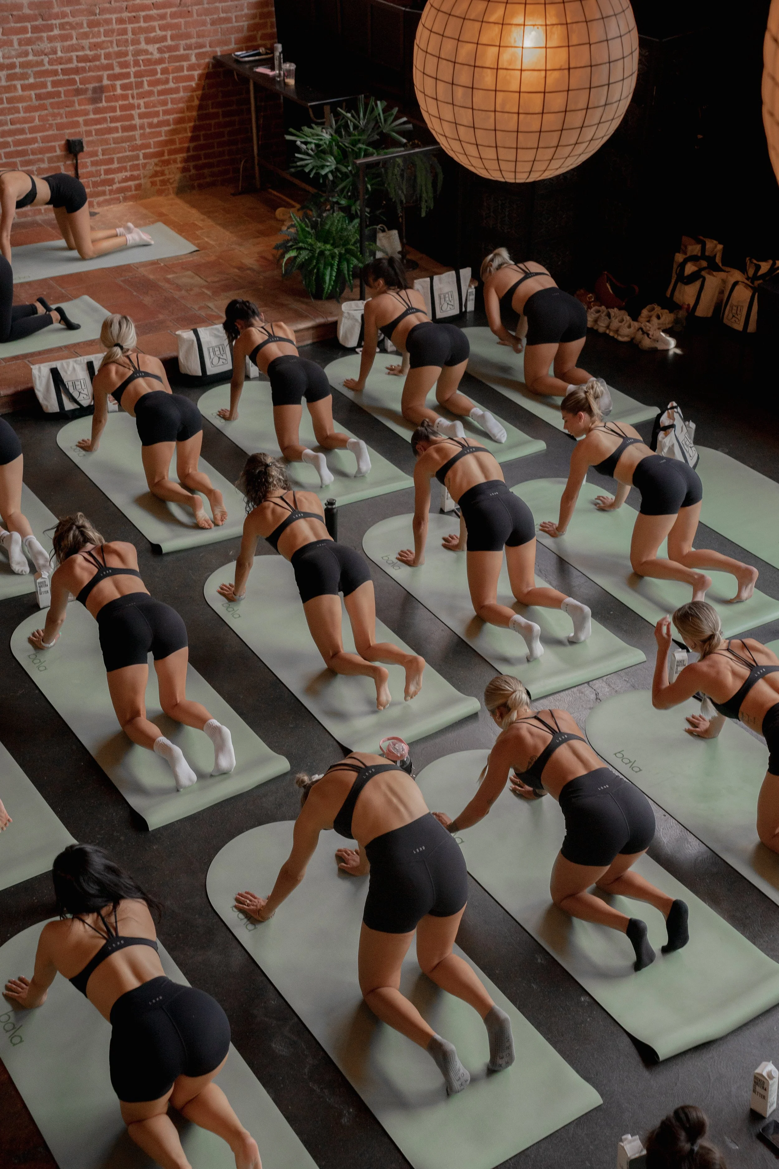 HELIOS EVOLVED PILATES — BLOND BRANDS
