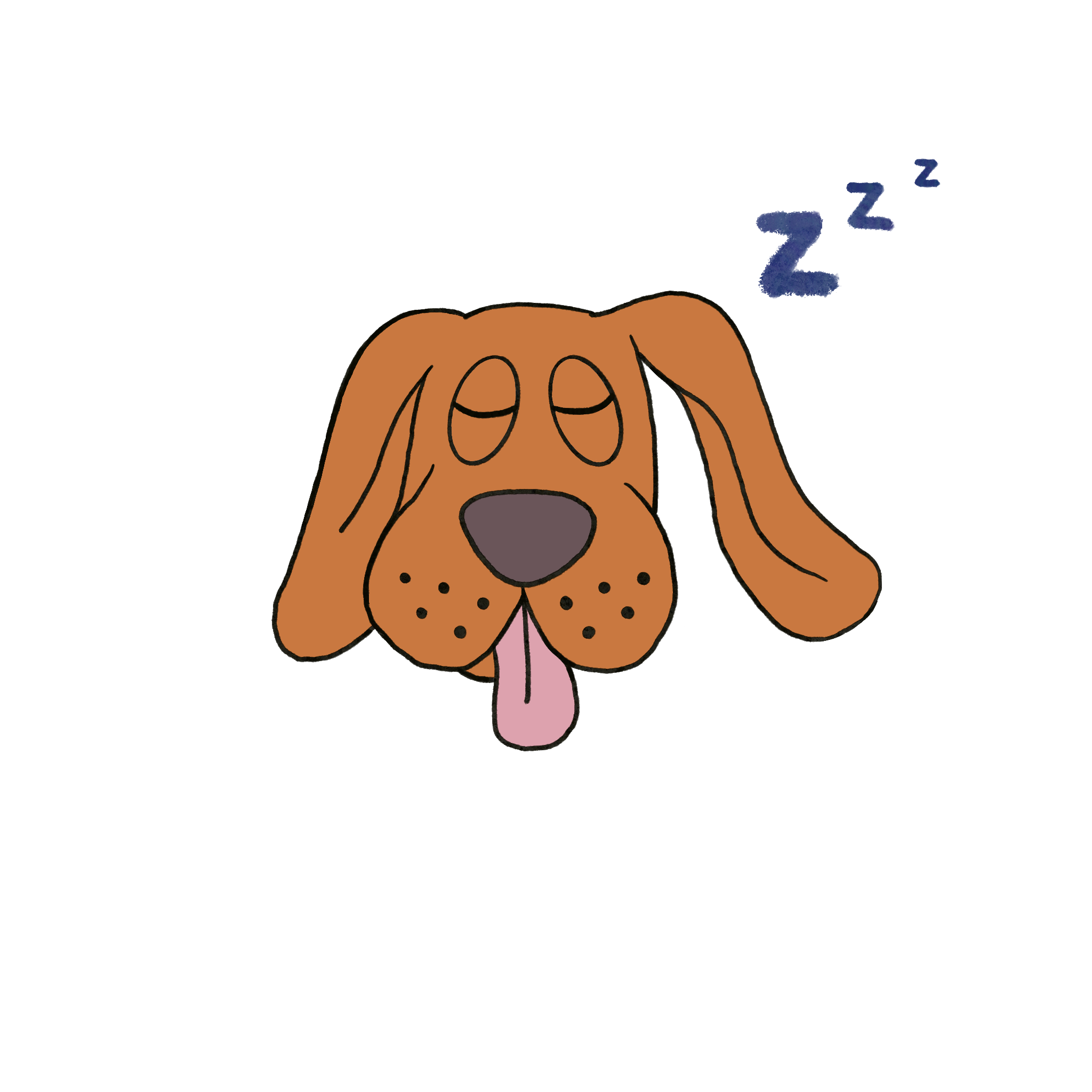 Other Services — Dogs Inn Ankeny