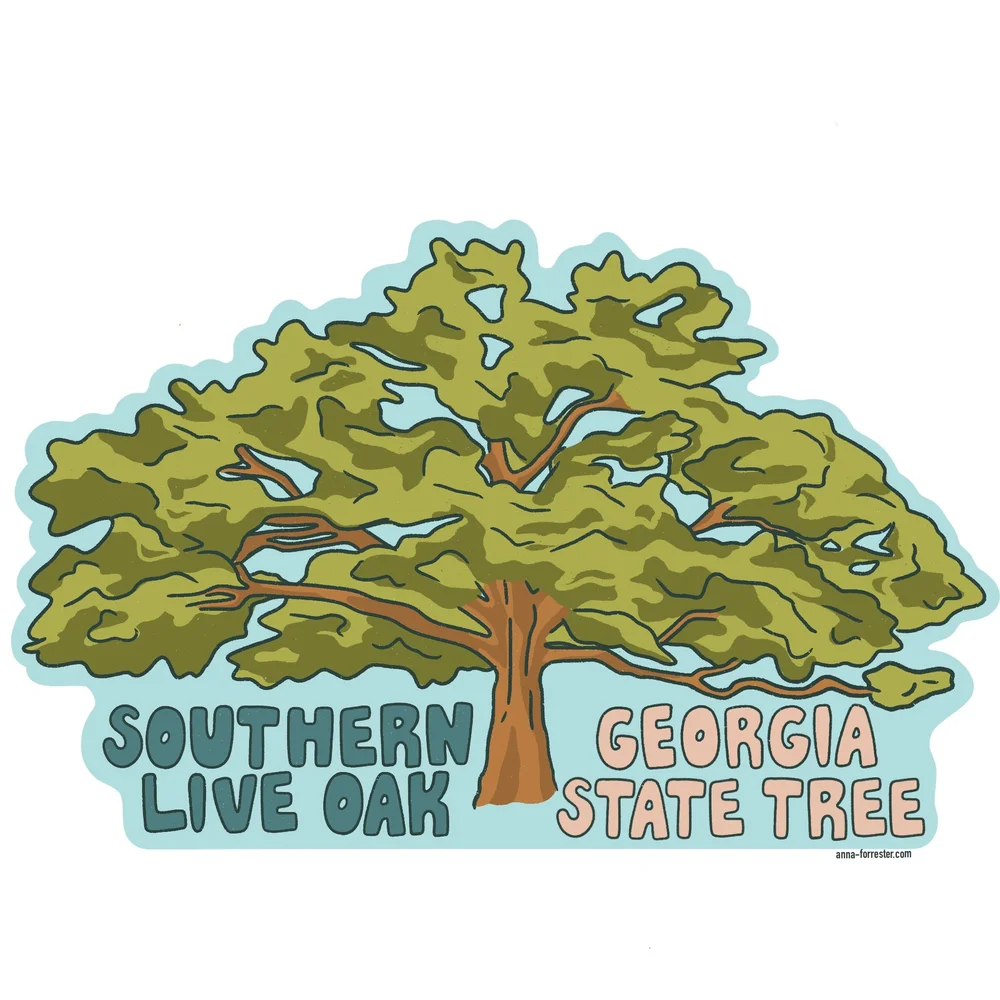 Anna Forrester | Illustration