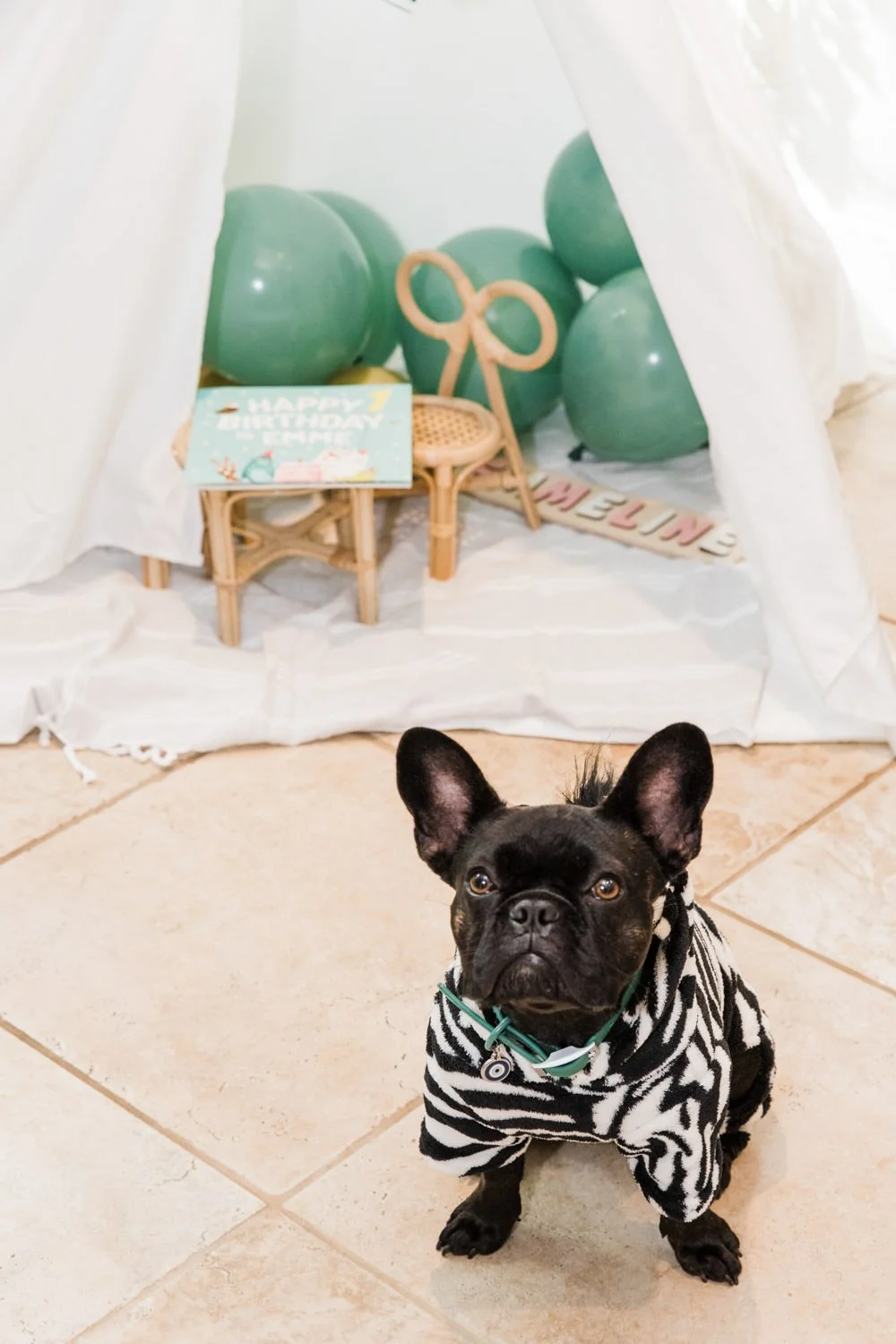 Seattle Event Photography for Parties & Mitzvahs | Stephanie Cristalli