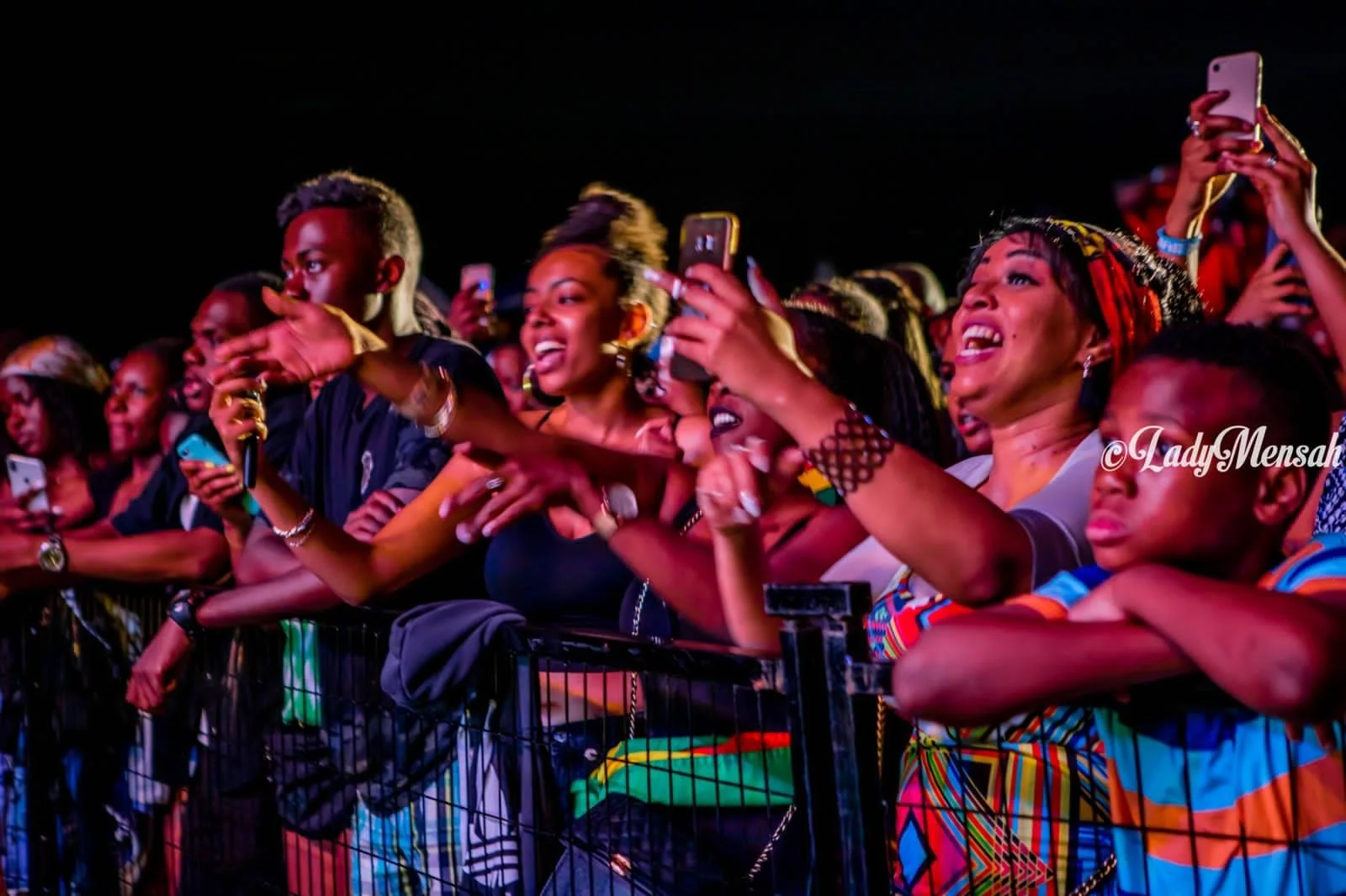 Gallery 3 — AFROFEST