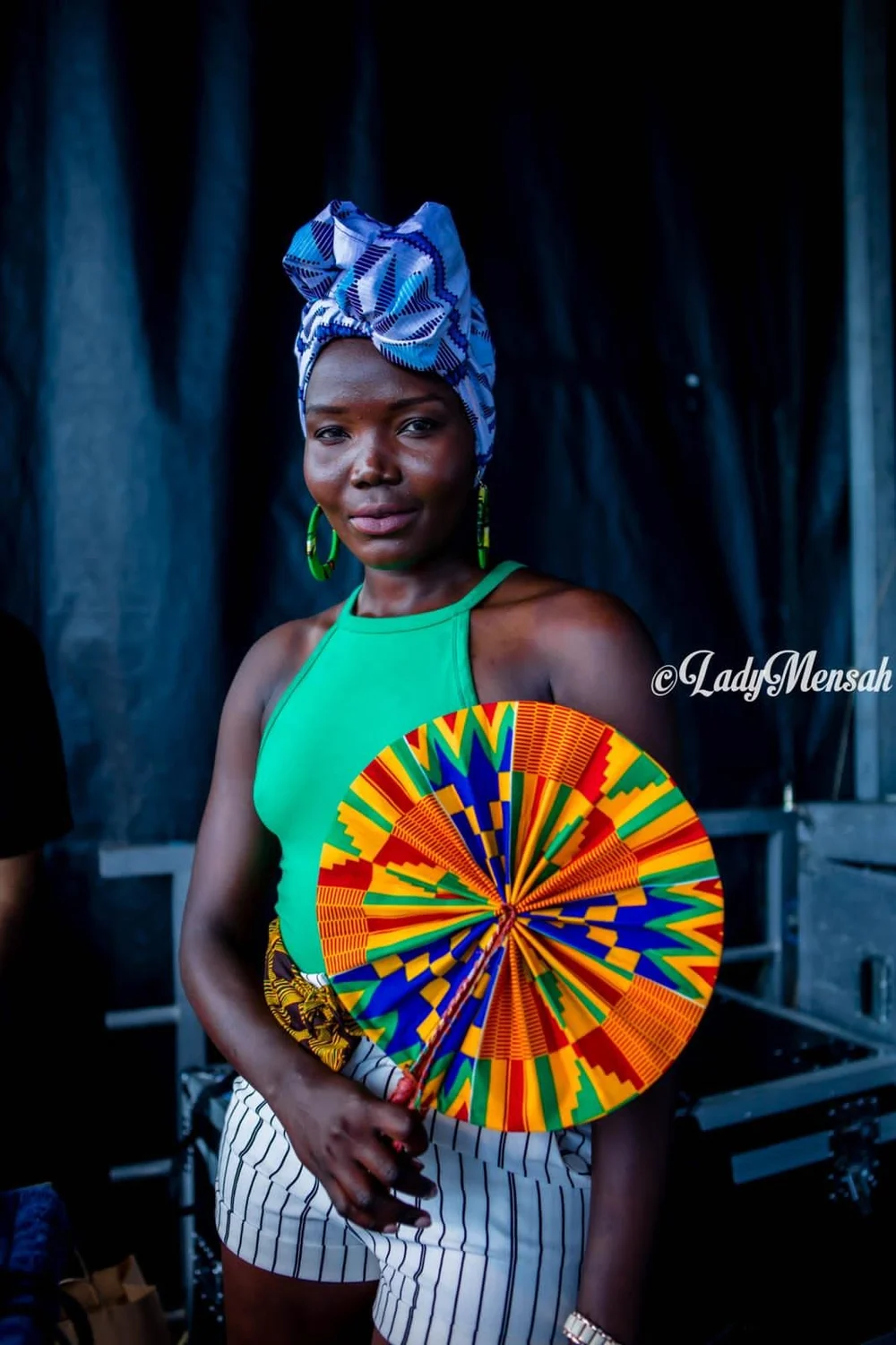 Gallery 3 — AFROFEST