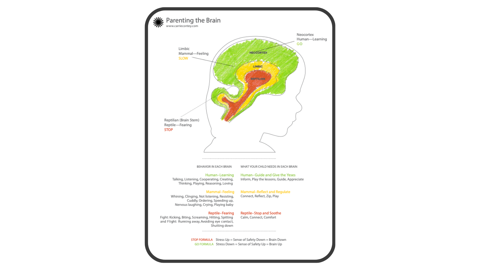 Parenting the Brain — Carrie Contey, PhD