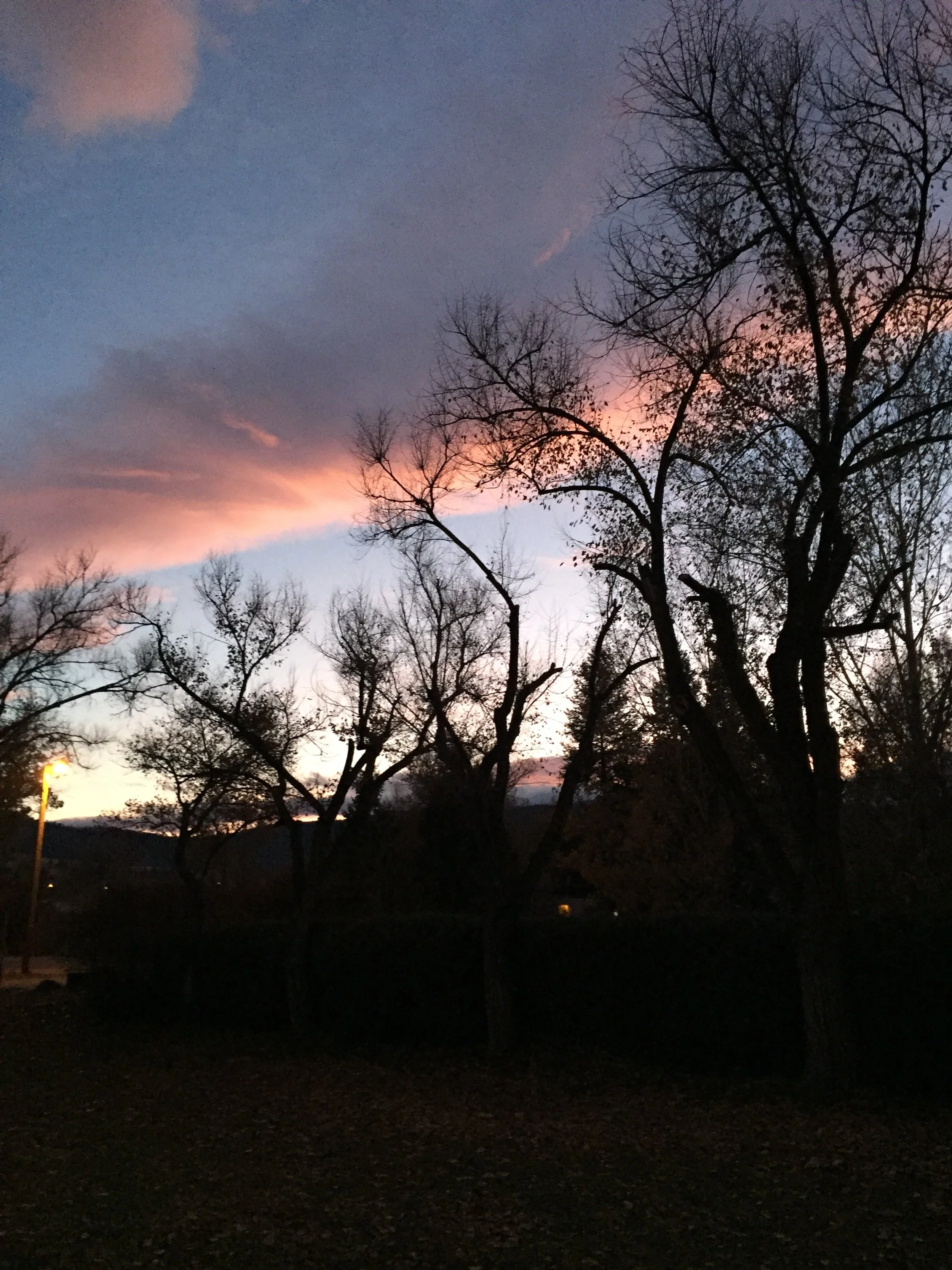 Photos — Alameda's Hot Springs