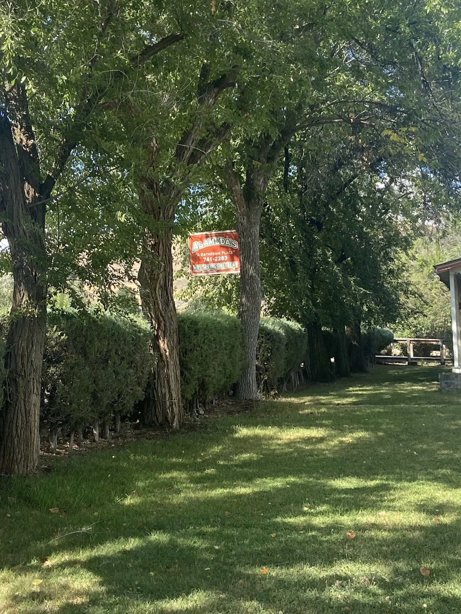 Alameda's Hot Springs