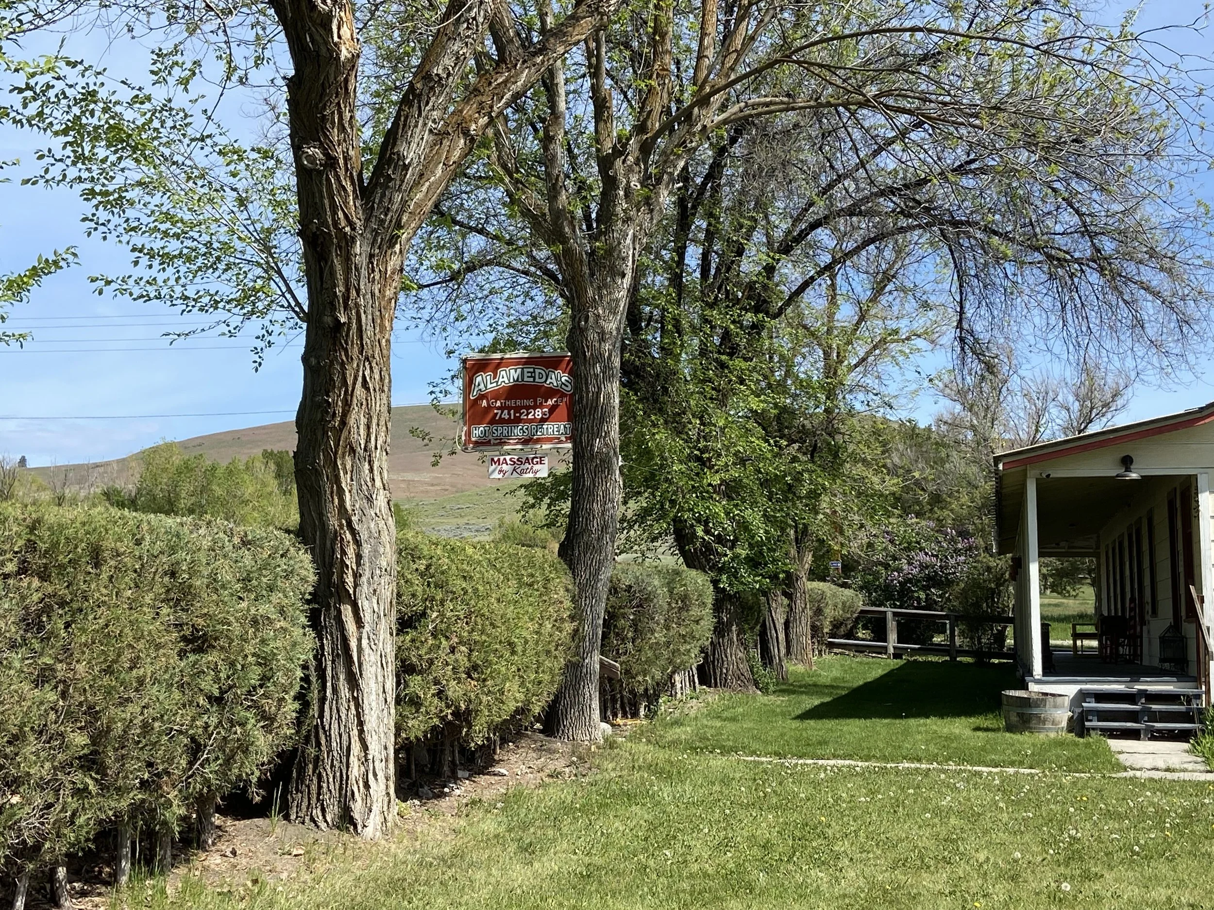 Alameda's Hot Springs
