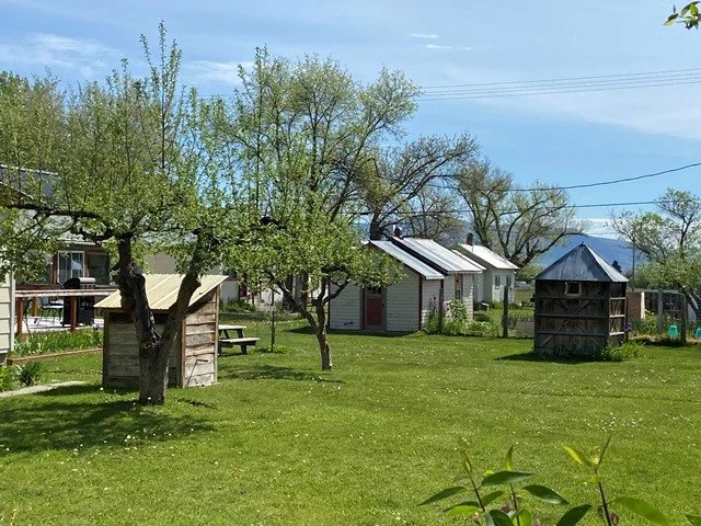 Photos — Alameda's Hot Springs