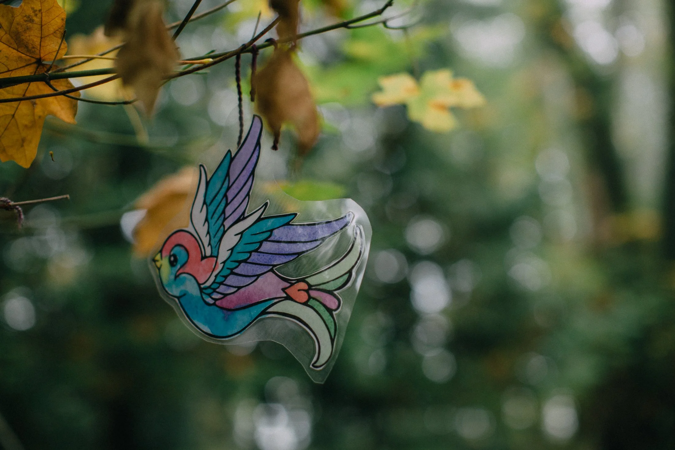 Program Overview — The Marylhurst School