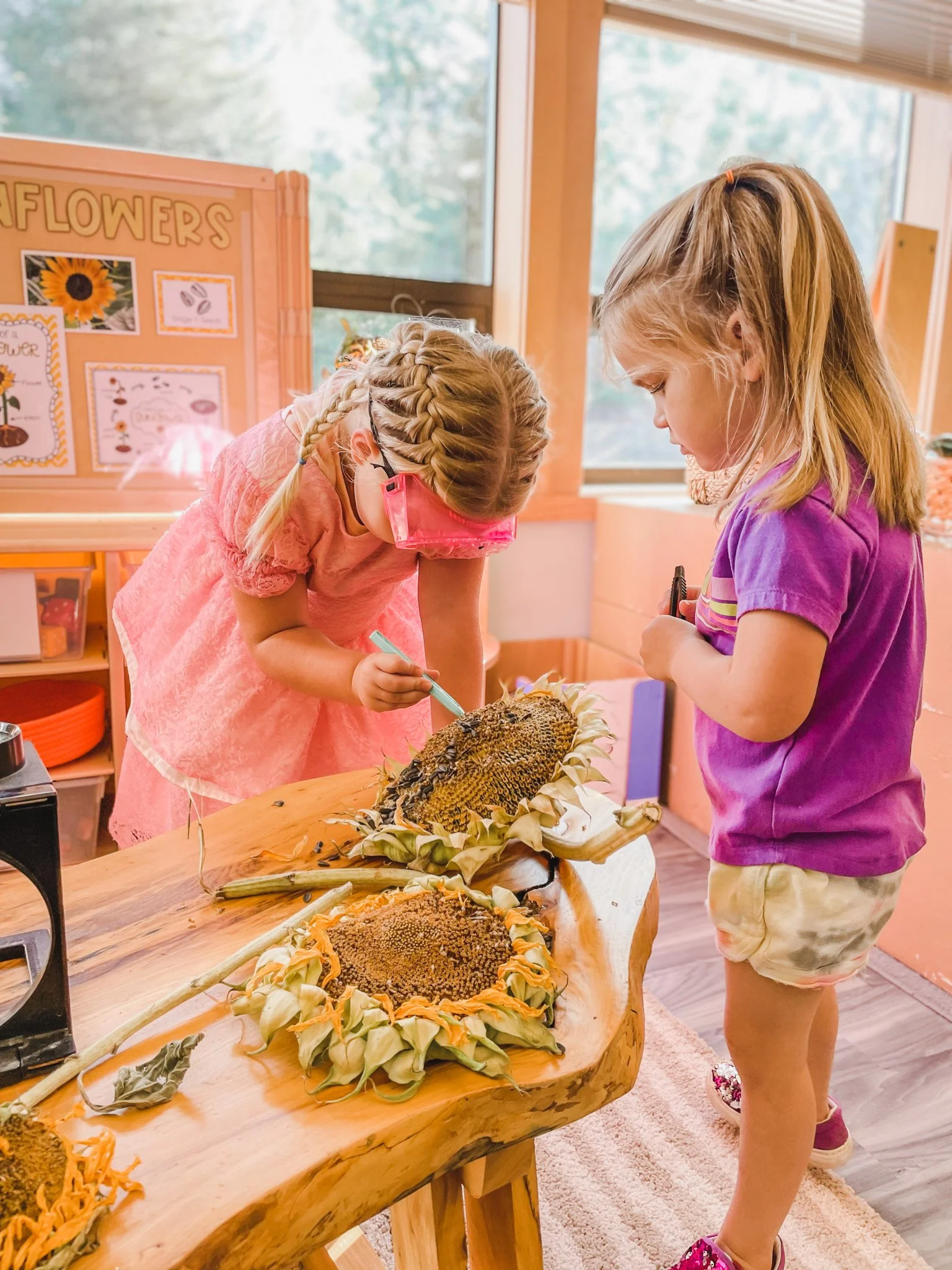 The Marylhurst School