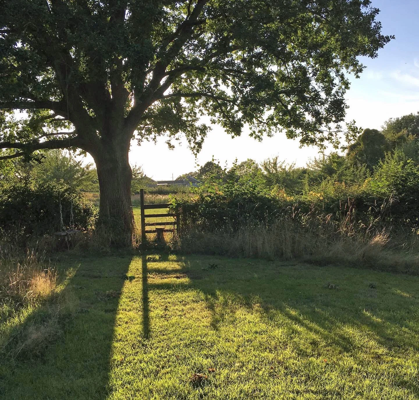 Views — Maggie’s Field Campsite & Cook Hut