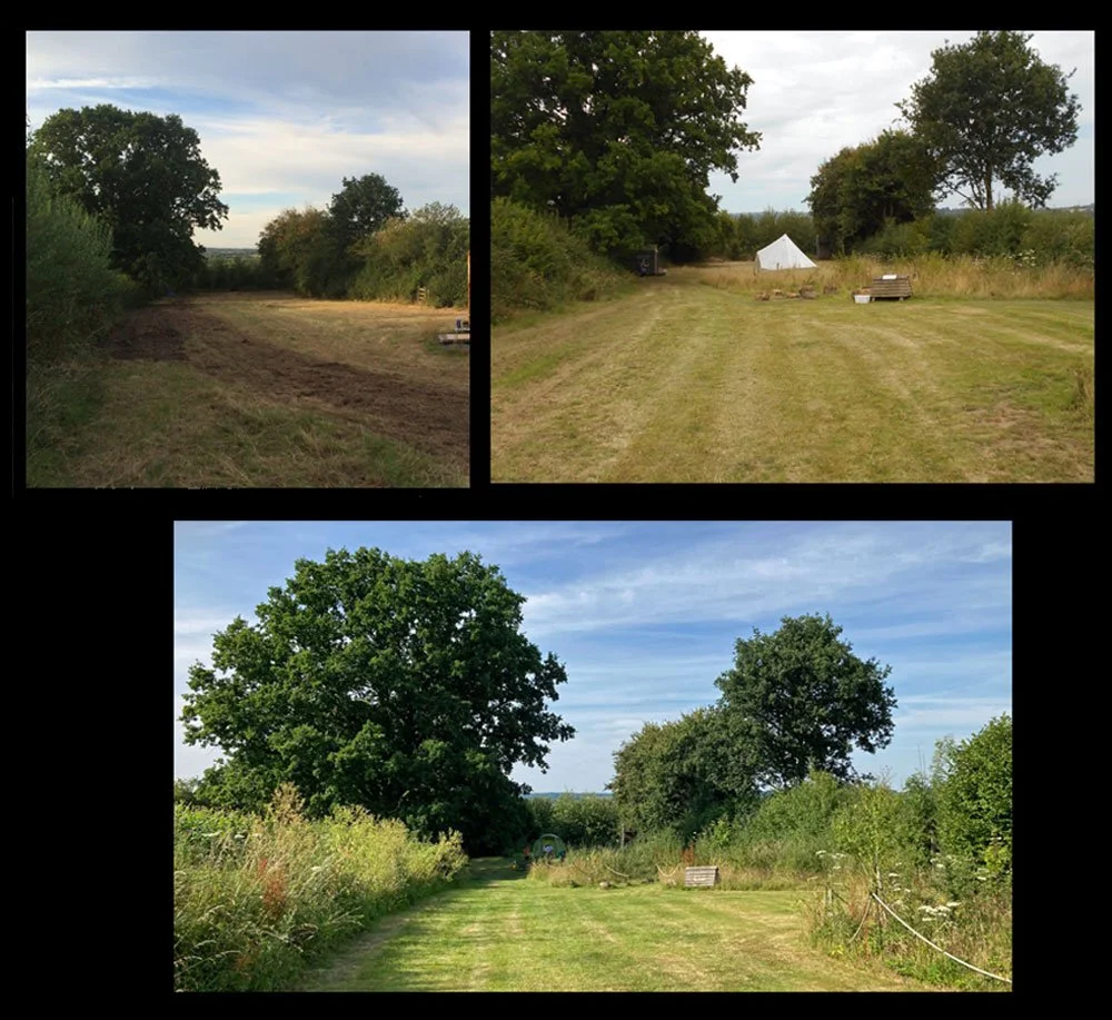 Nature — Maggie’s Field Campsite & Cook Hut