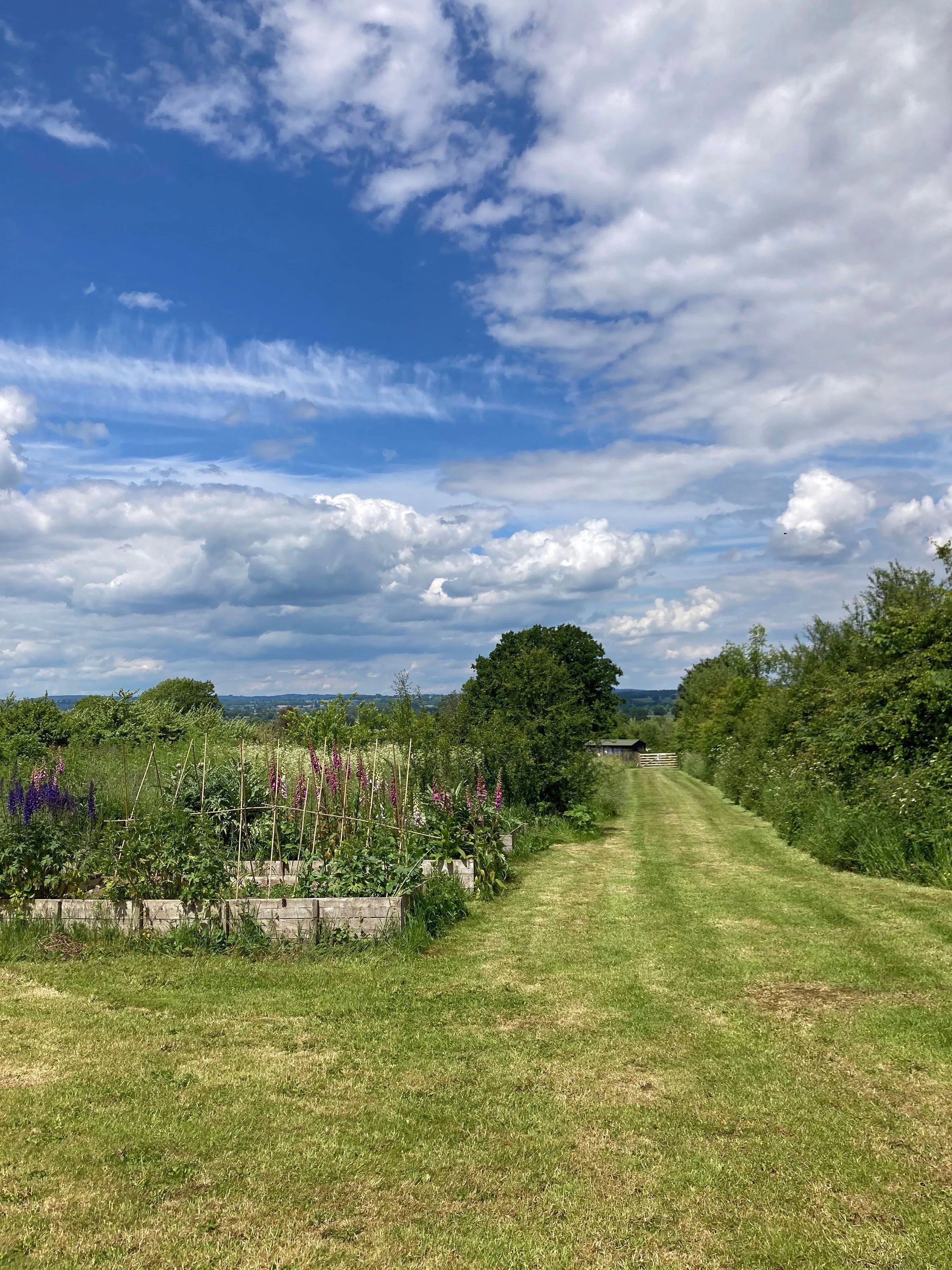 Views — Maggie’s Field Campsite & Cook Hut