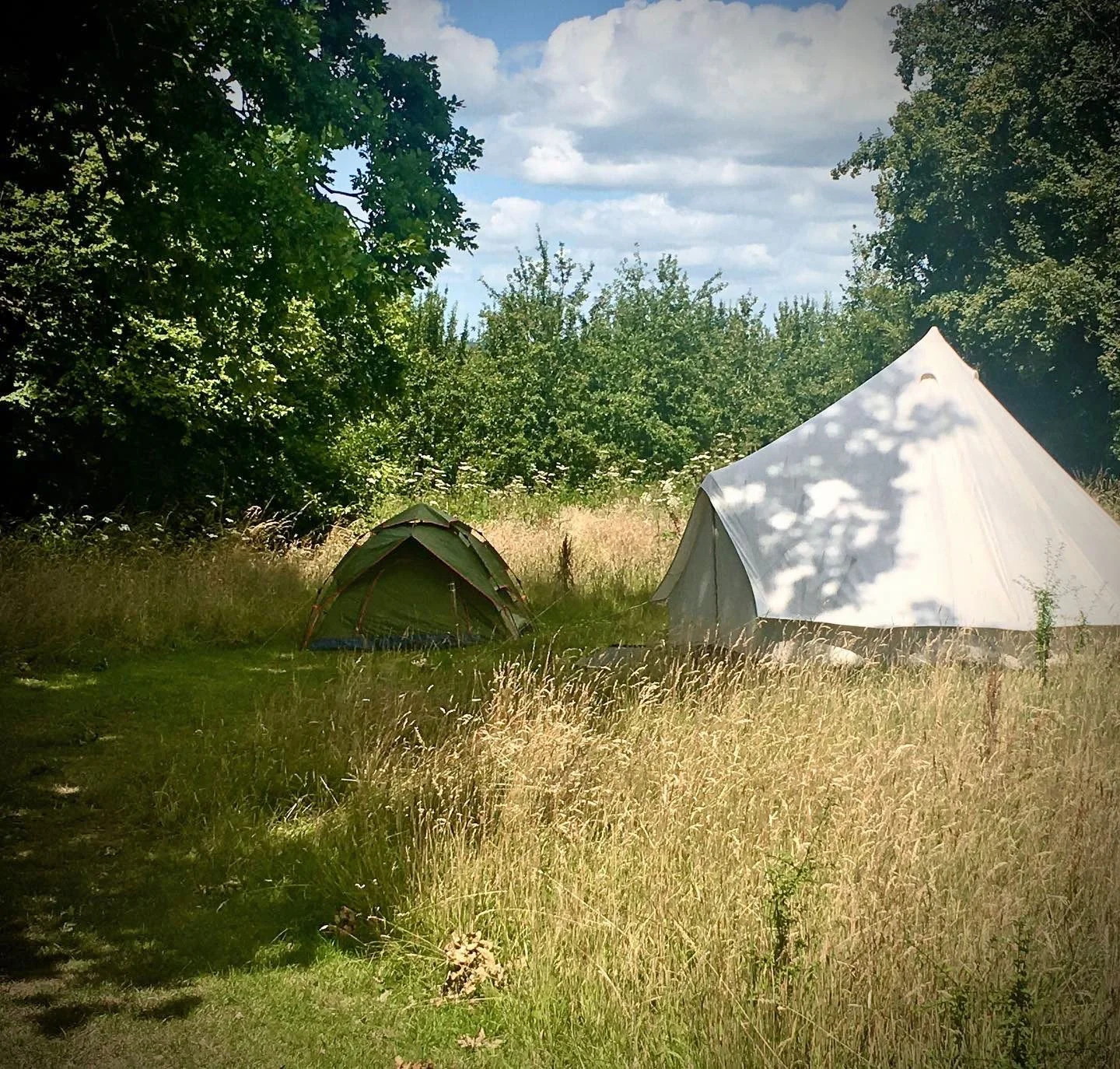 Views — Maggie’s Field Campsite & Cook Hut