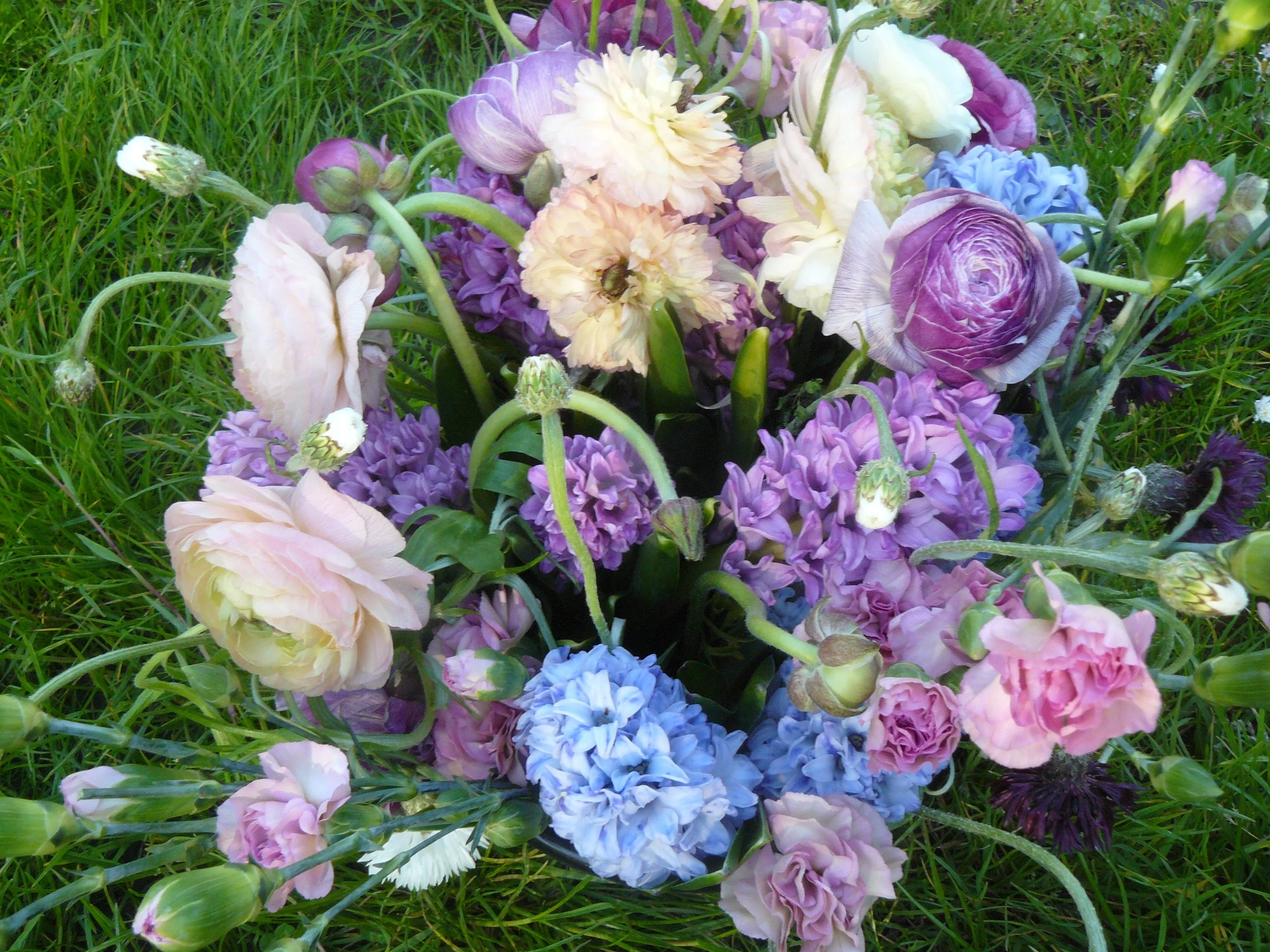 Bloom Brats Botanical -Seattle Florist- Floral & Botanical Design