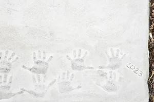 Fawkner Primary School — APGC