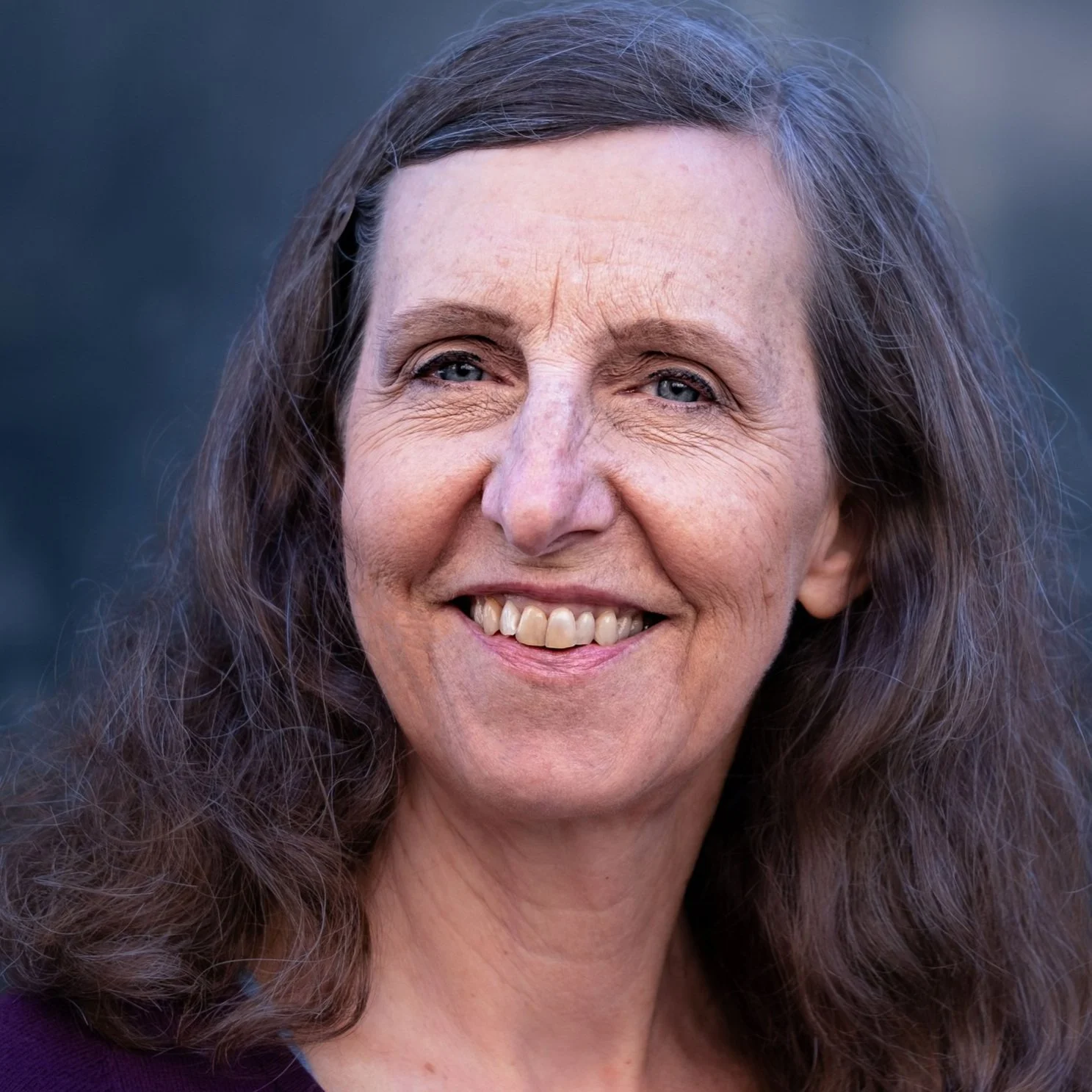 Richard III — Silicon Valley Shakespeare