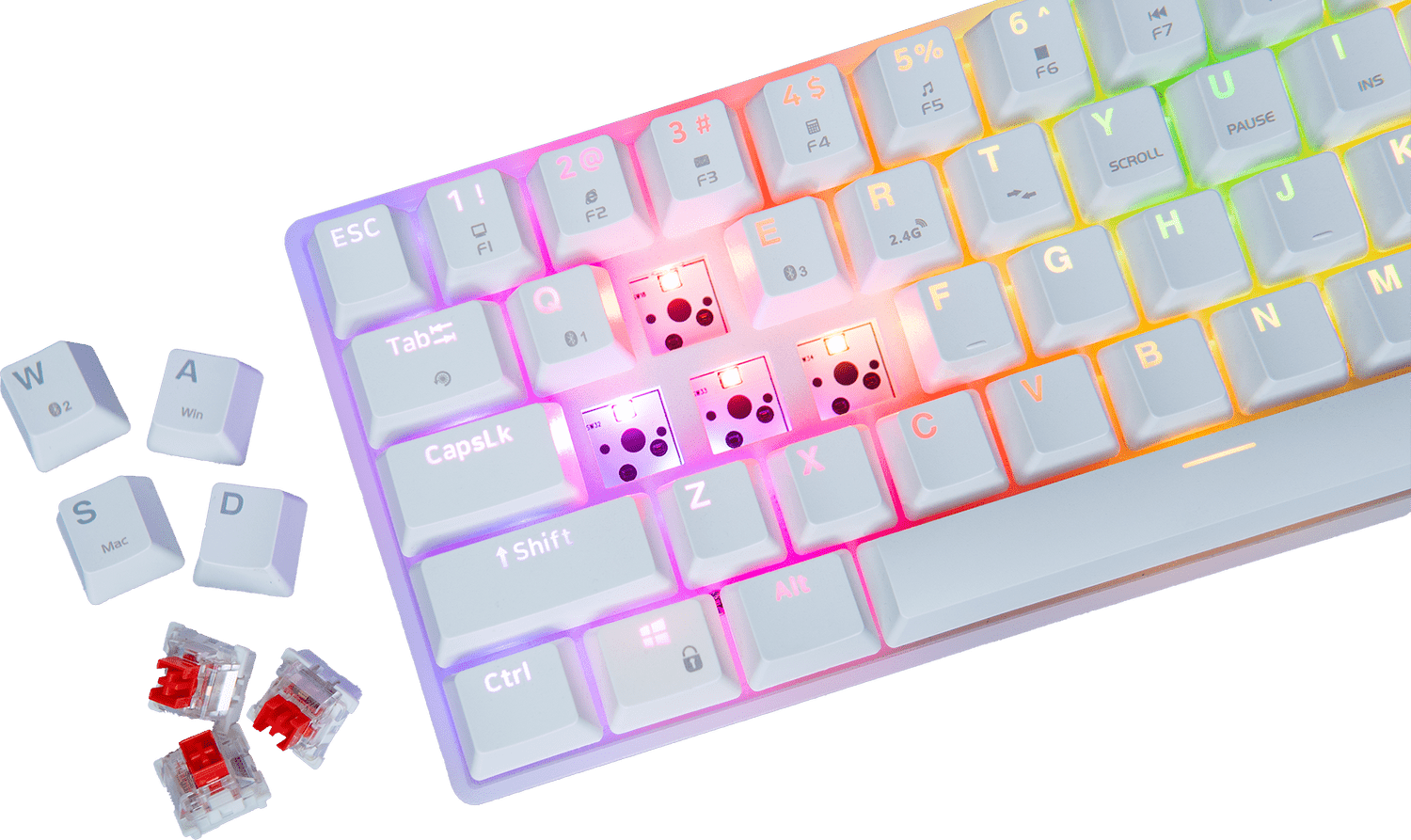 GG68B — Garuda Gear Website