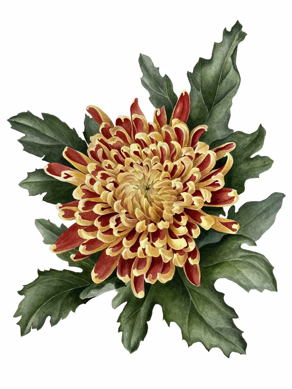 Kristine Art Watercolor Painting Online Classes