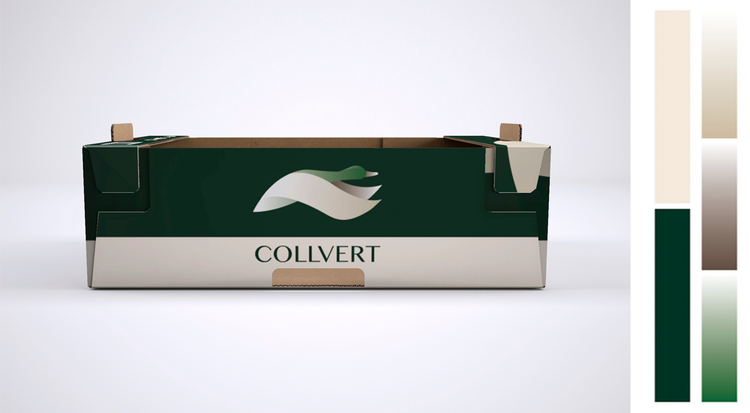 Project Details Collvert — Maldonado Studio