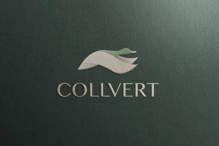 Project Details Collvert — Maldonado Studio