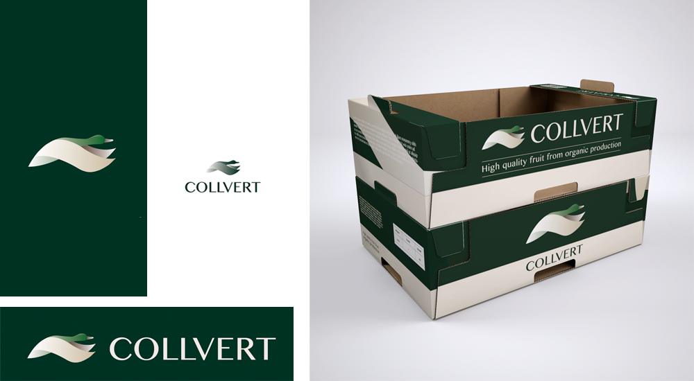 Project Details Collvert — Maldonado Studio