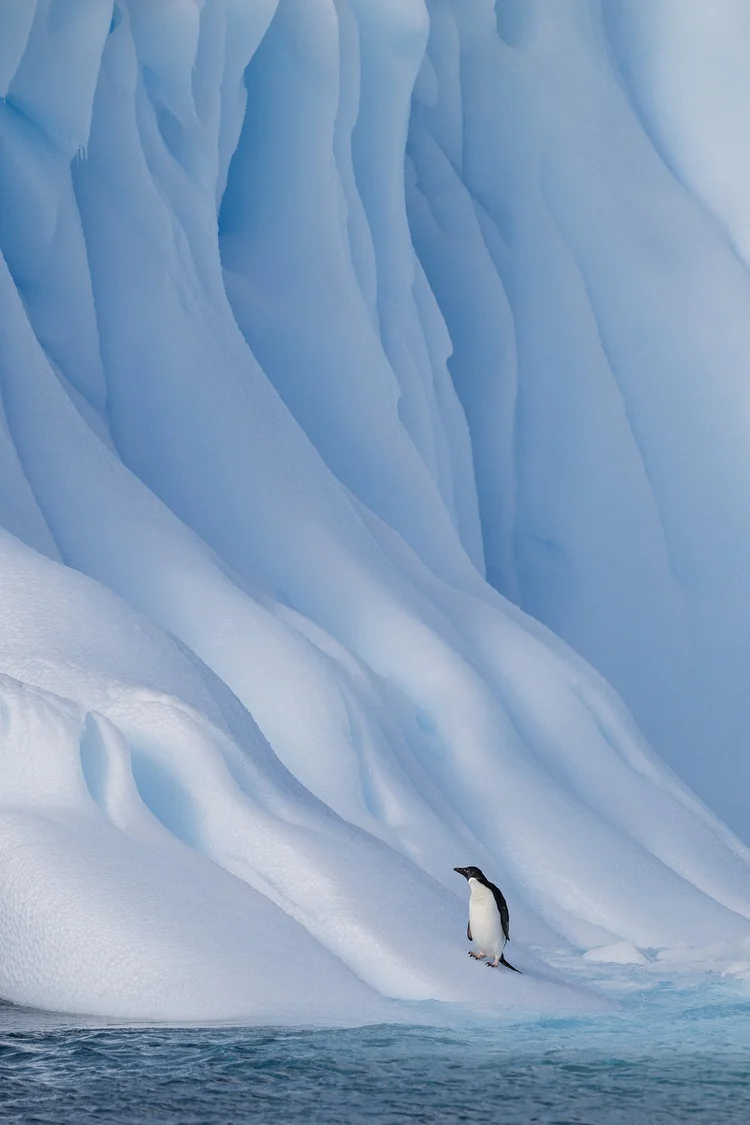 Travel, Wildlife & Expediton Photographer Jordan Banks — Jordan Banks ...